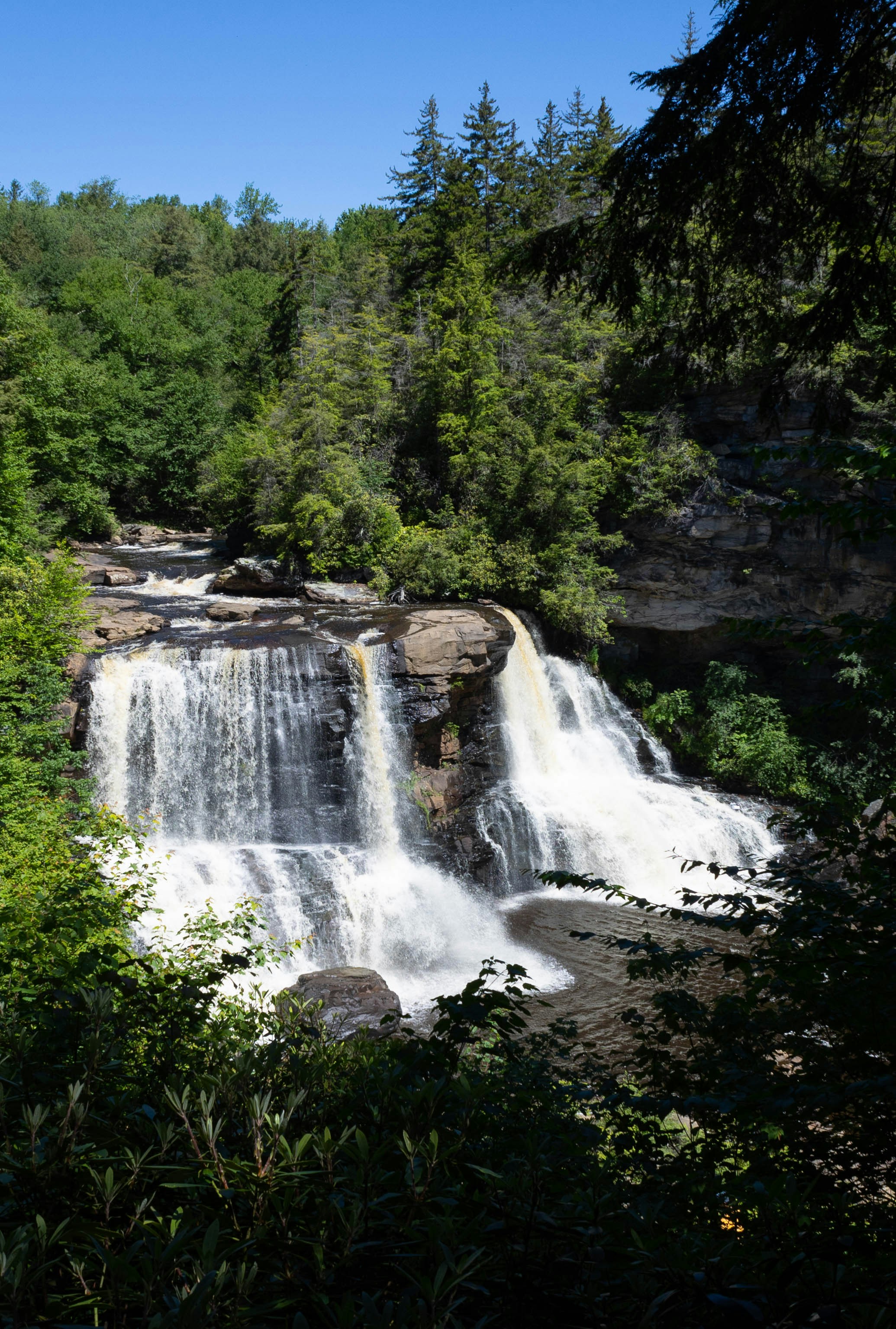 Cascading Veil: A Forest Waterfall in Full Light