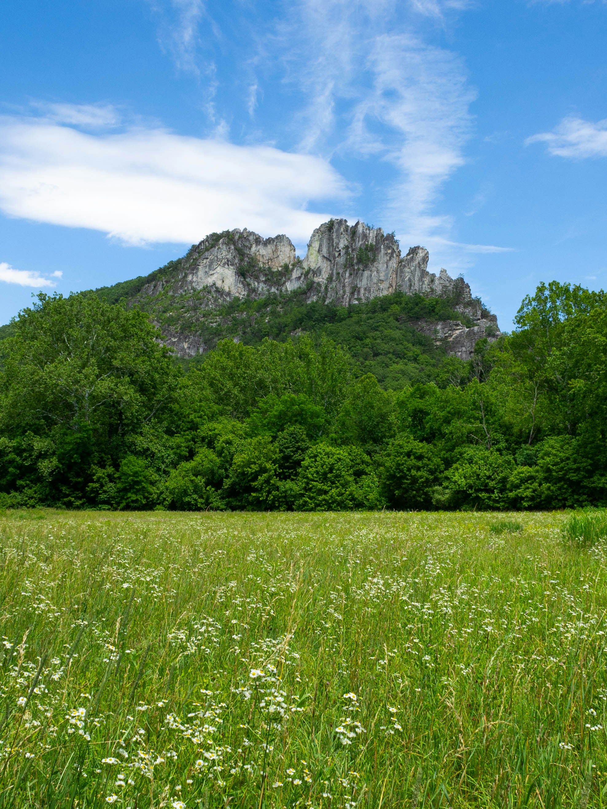 Limestone Peak Rising Above a Meadow of Wildflowers