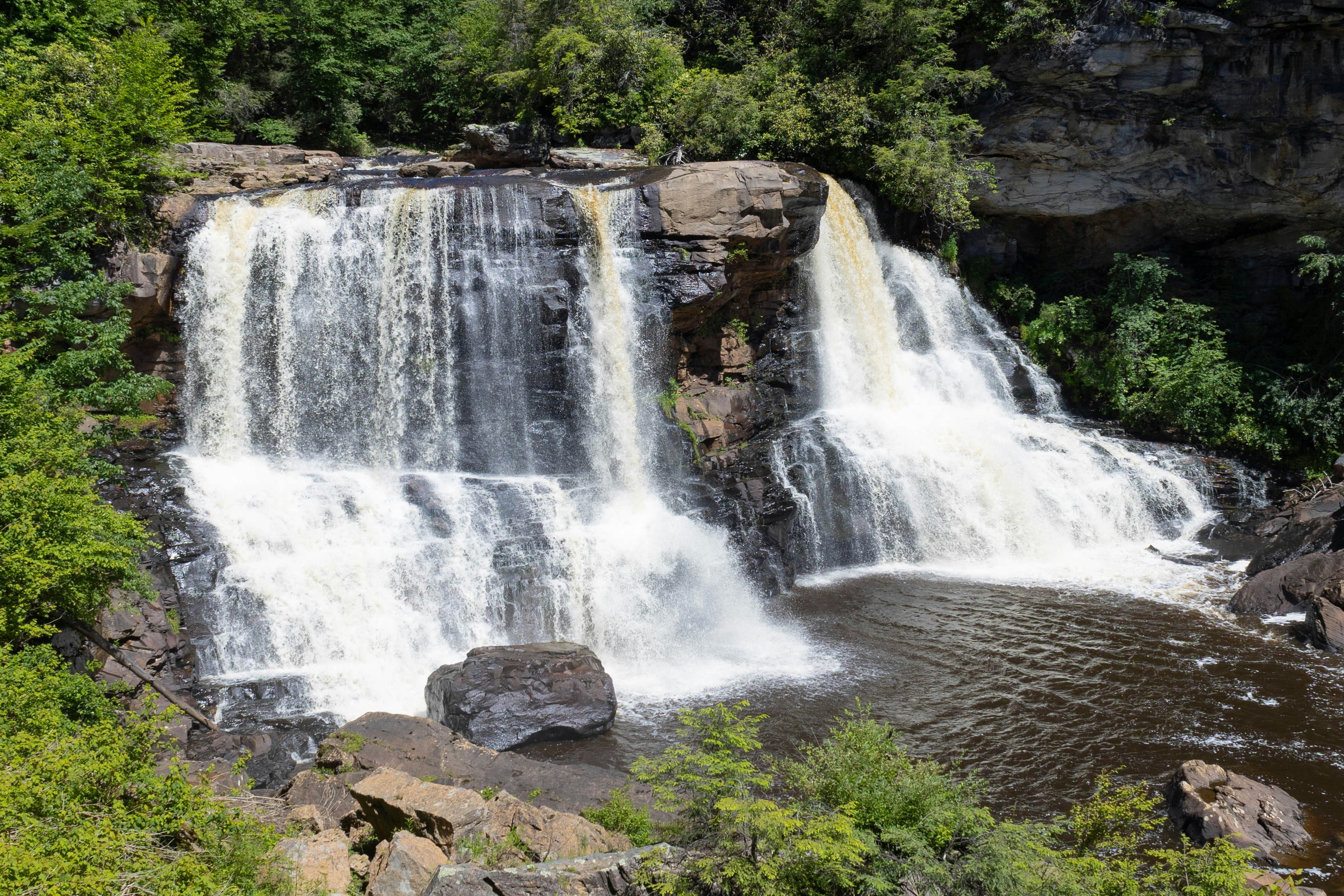 Cascading Majesty: A Forest-Guarded Waterfall Spotlight