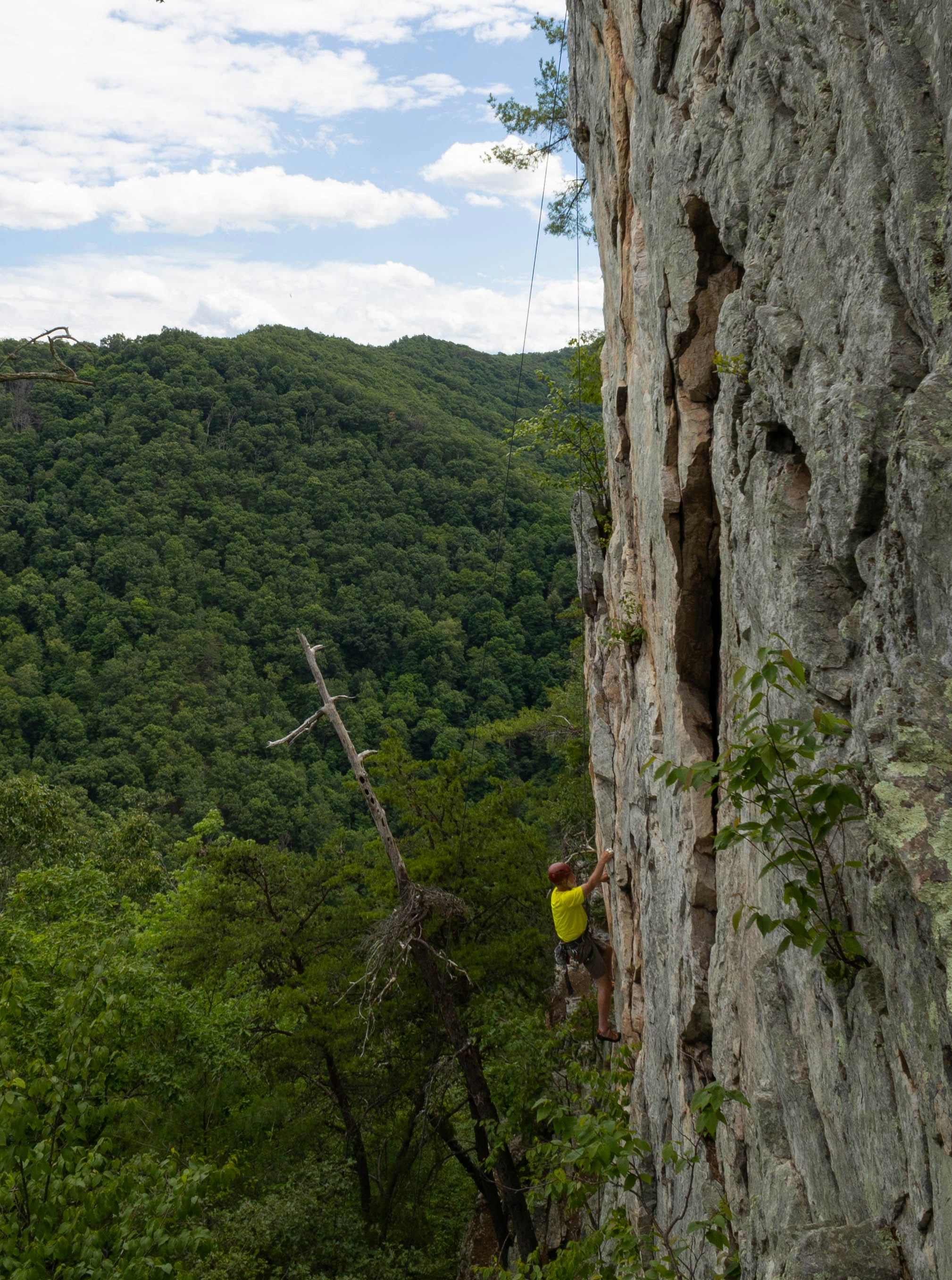 A climber in a bright yellow shirt ascends a rugged cliff with a forested valley beyond. The scene emphasizes vertical effort and rugged rock texture.