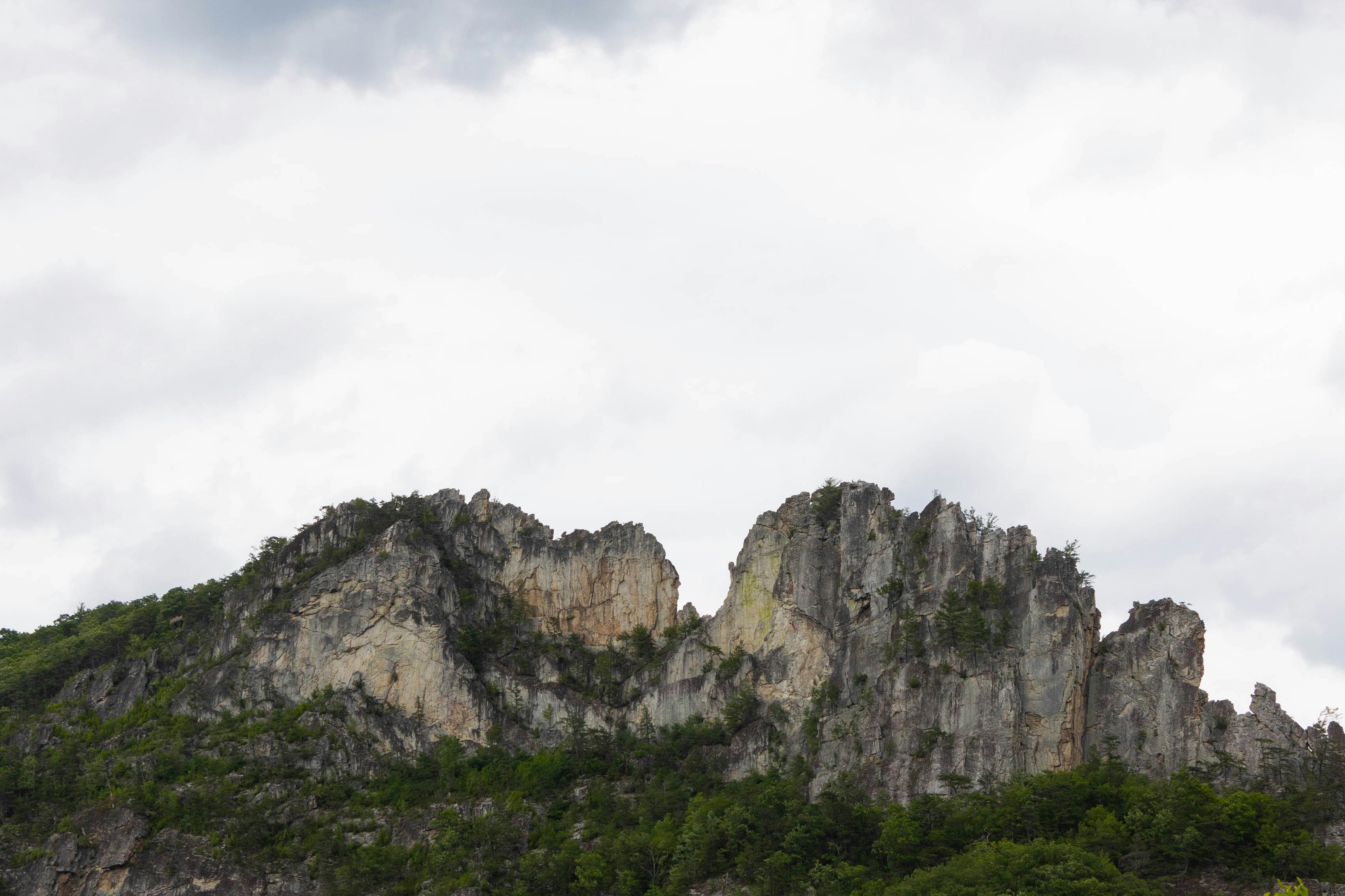 Rugged Cliffline Rising Above Forested Slopes