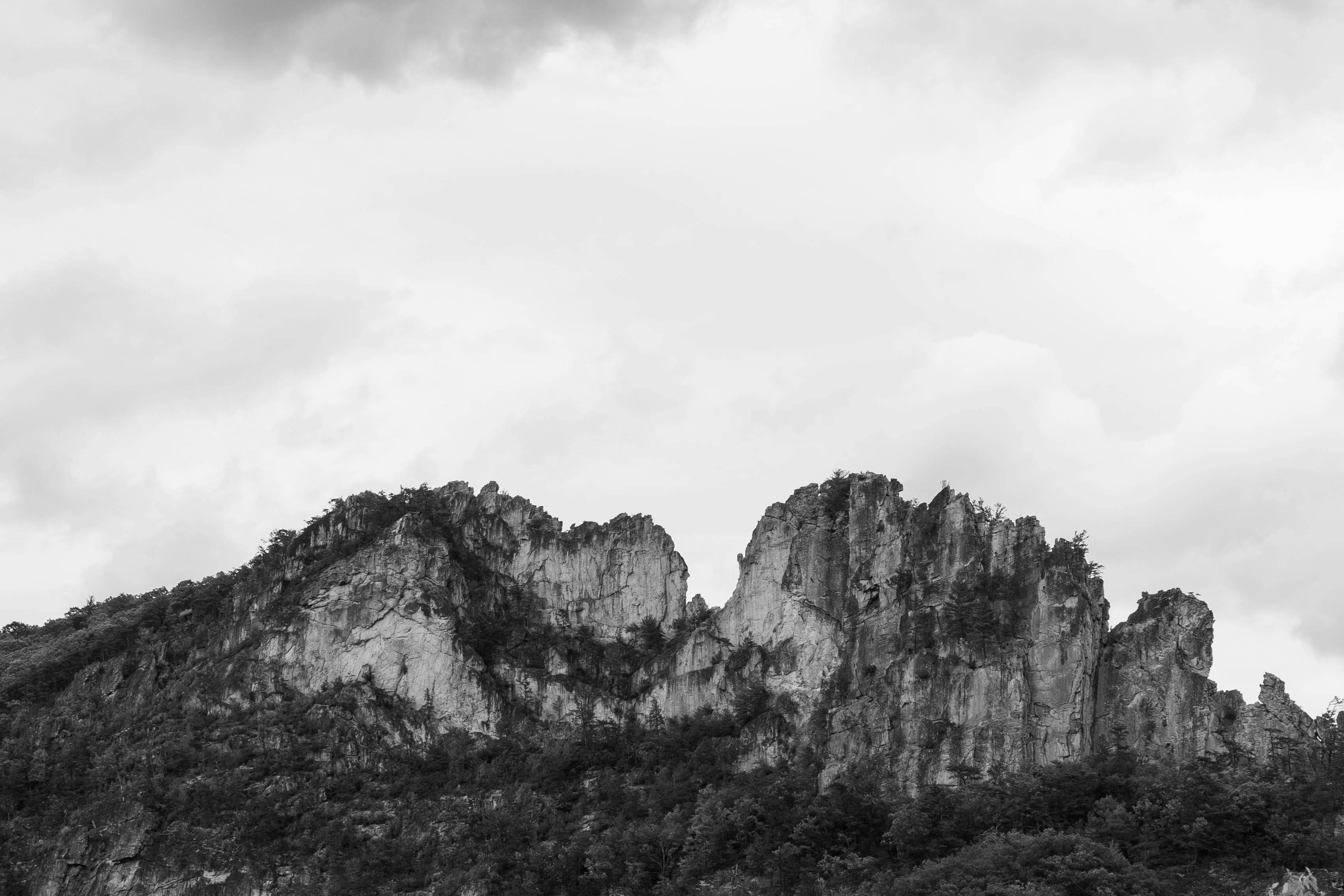 Stone Giants at the Edge of the Forest