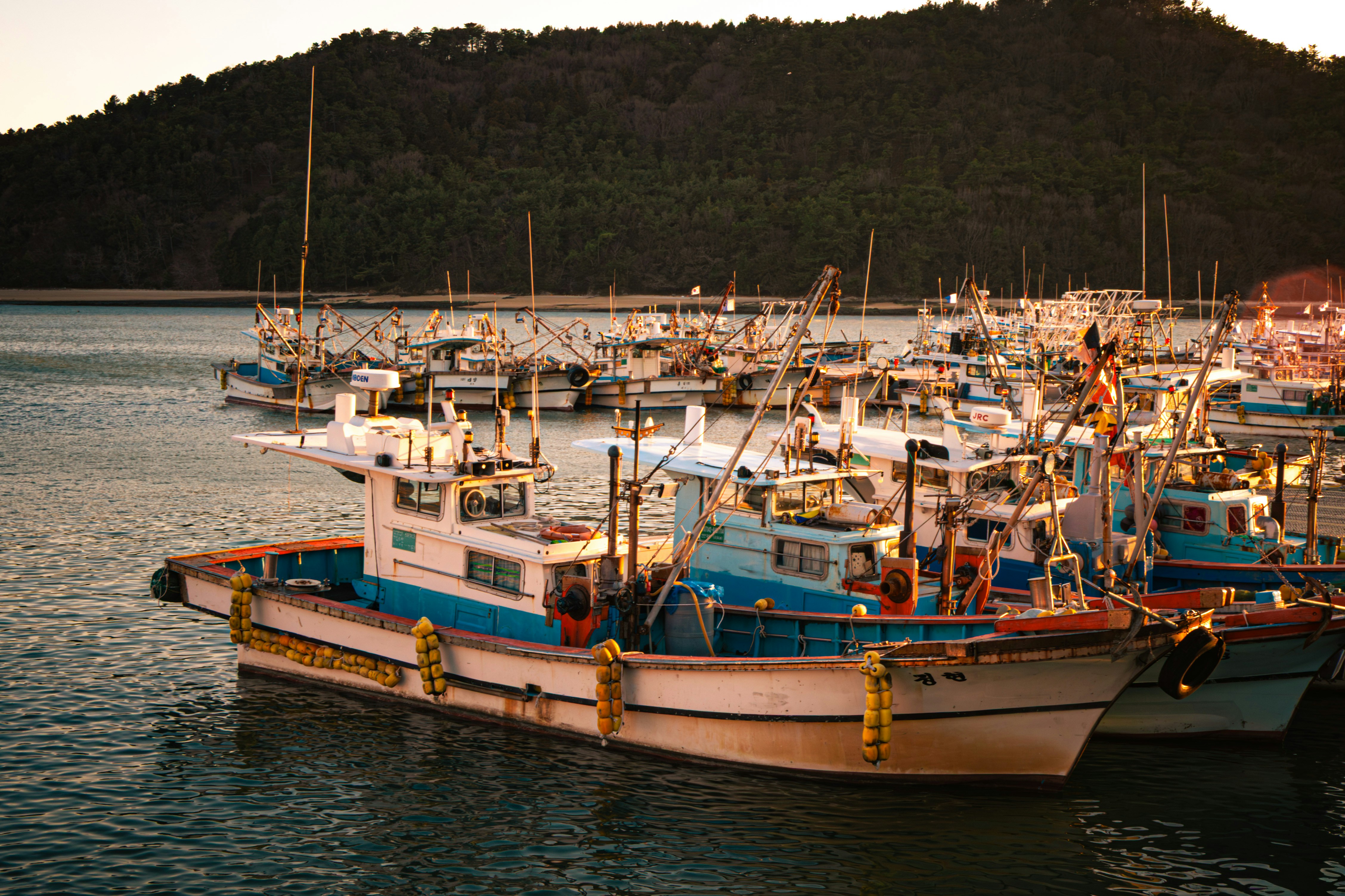 Harbor of Quiet Resolve: A Fleet Resting at Dusk