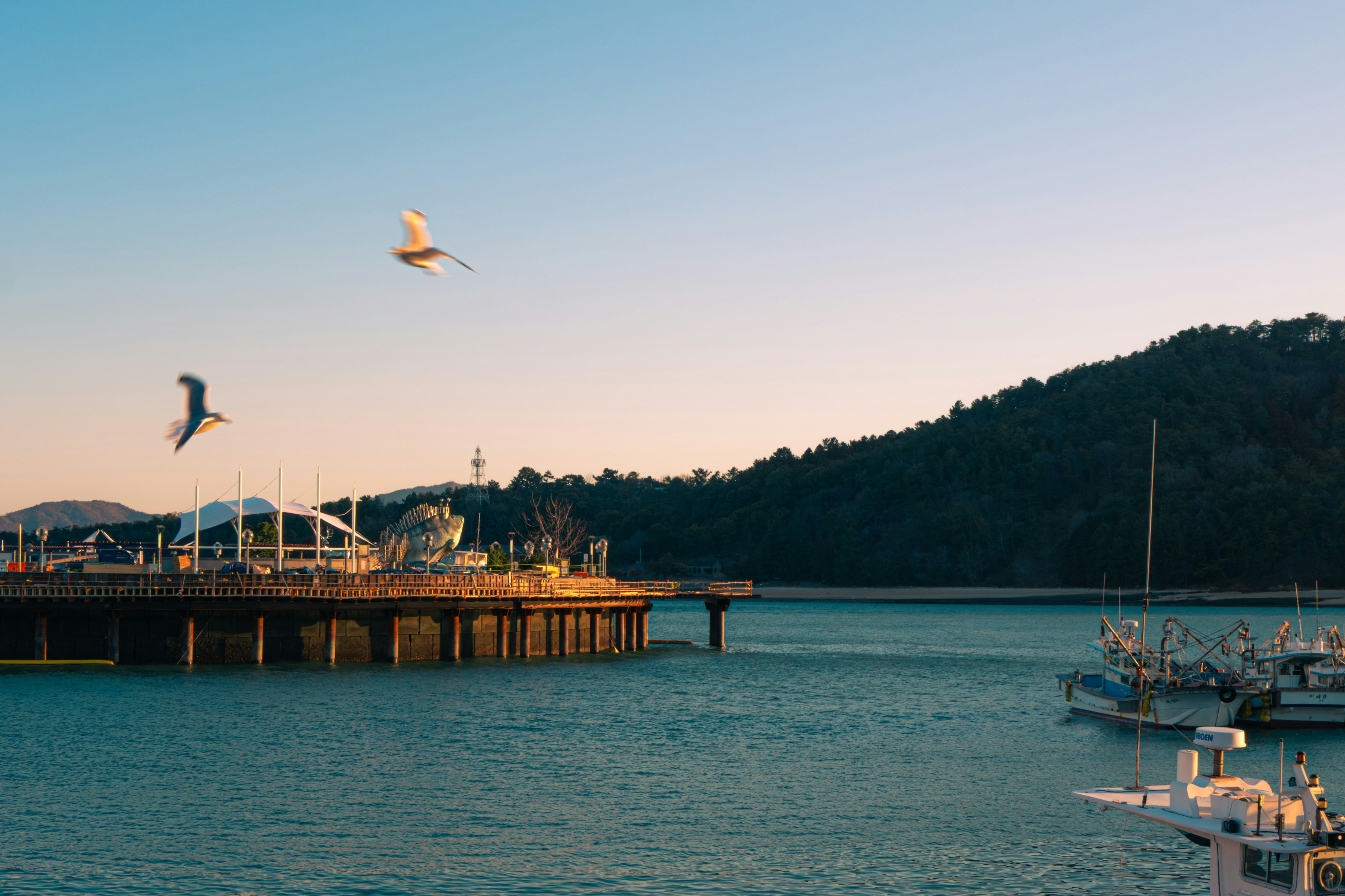 Harbor Calm at Dusk: Seagulls over a Quiet Pier