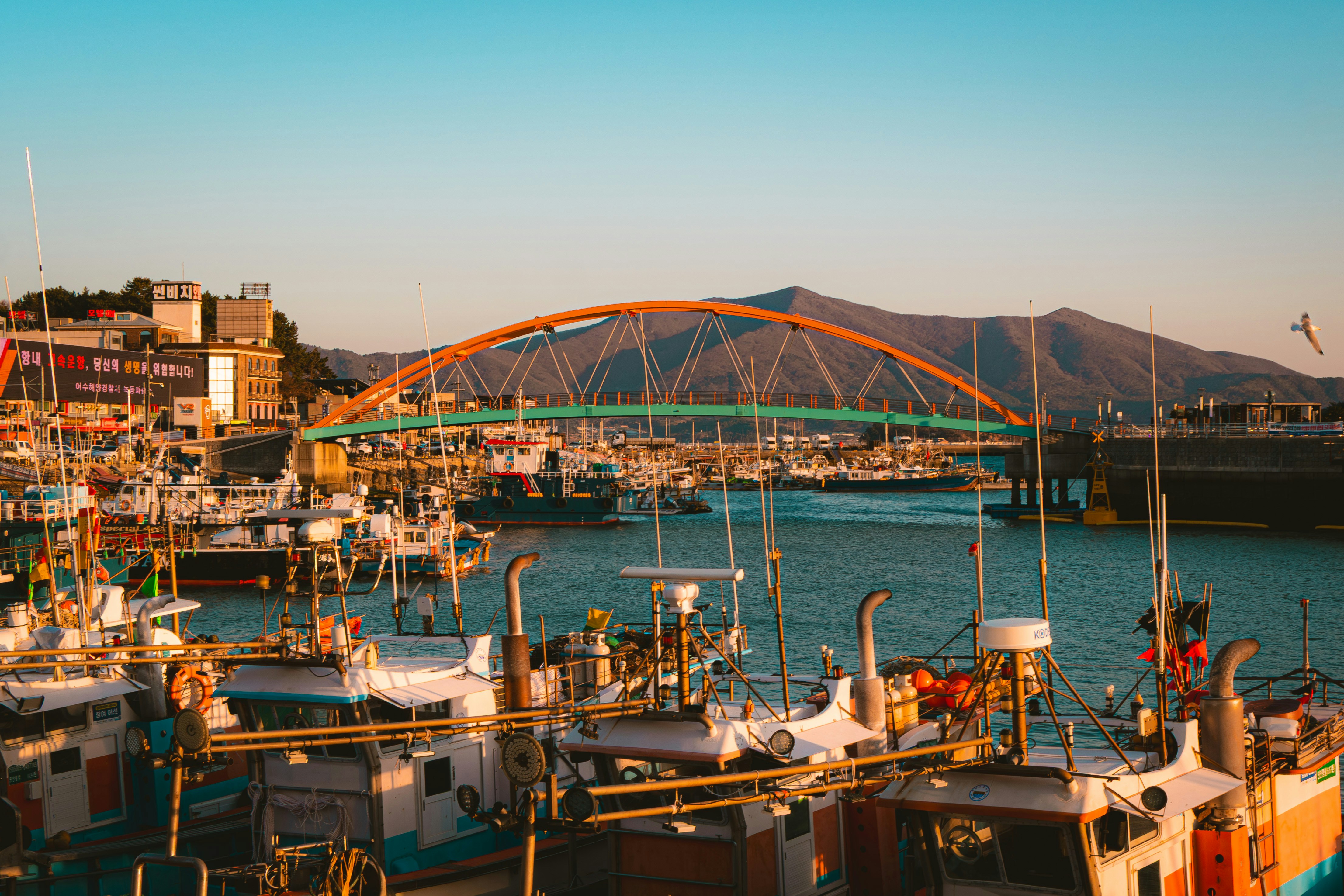 Marina Arc: Boats, Bridges, and Coastal Light
