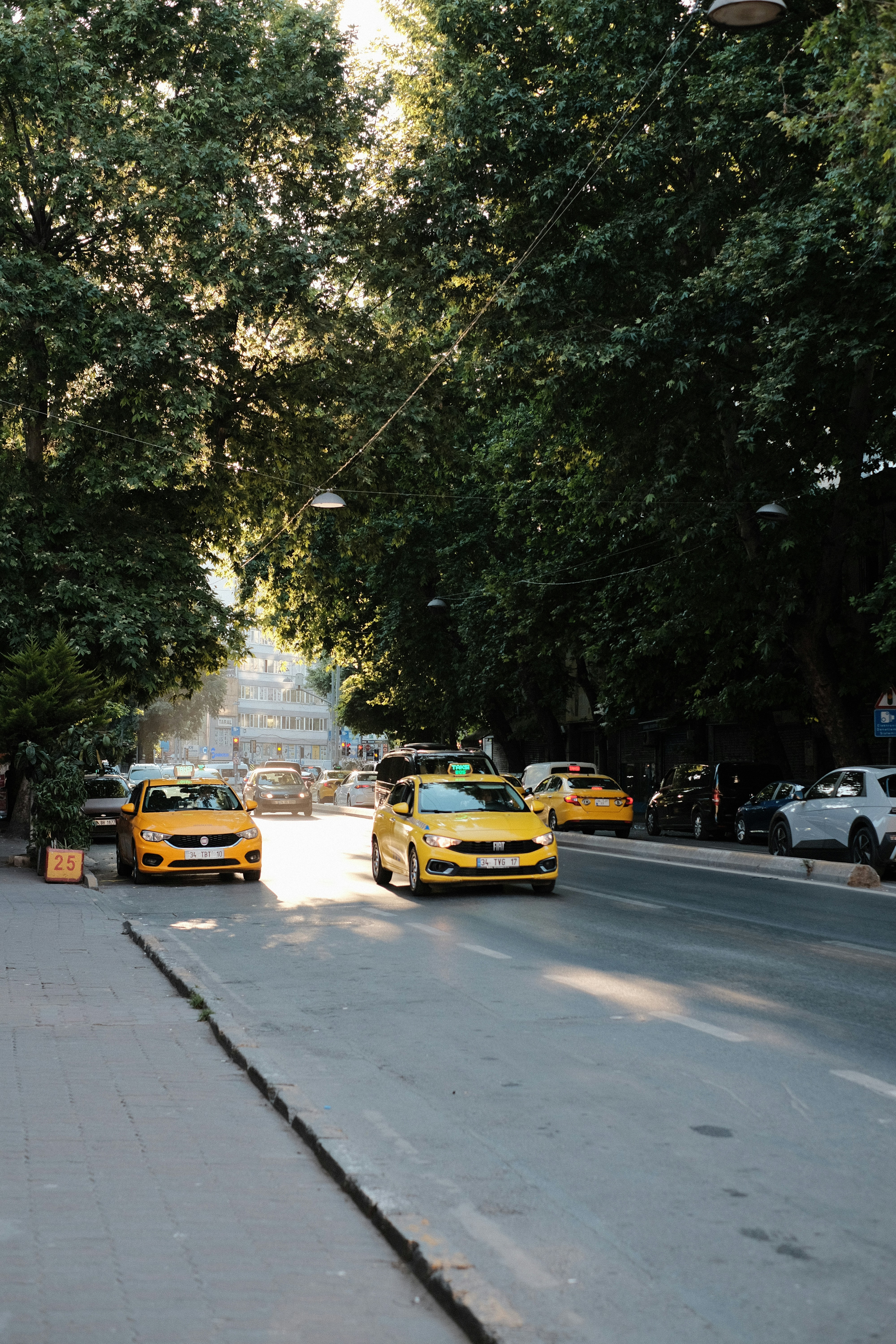 Yellow taxis on a sunlit urban avenue