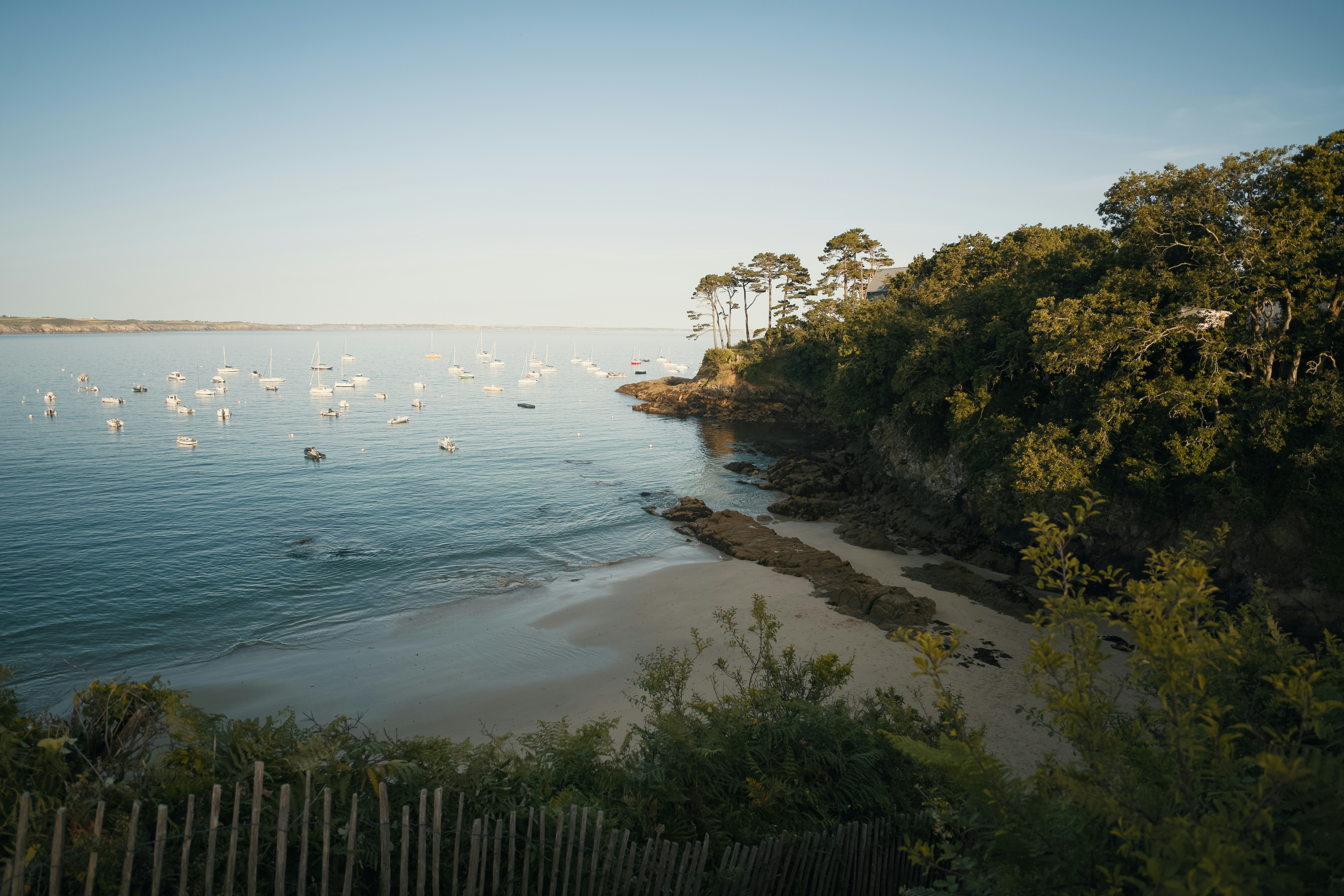 Sunlit Cove: Boats Dot the Quiet Horizon by a Tree-Pressed Shore