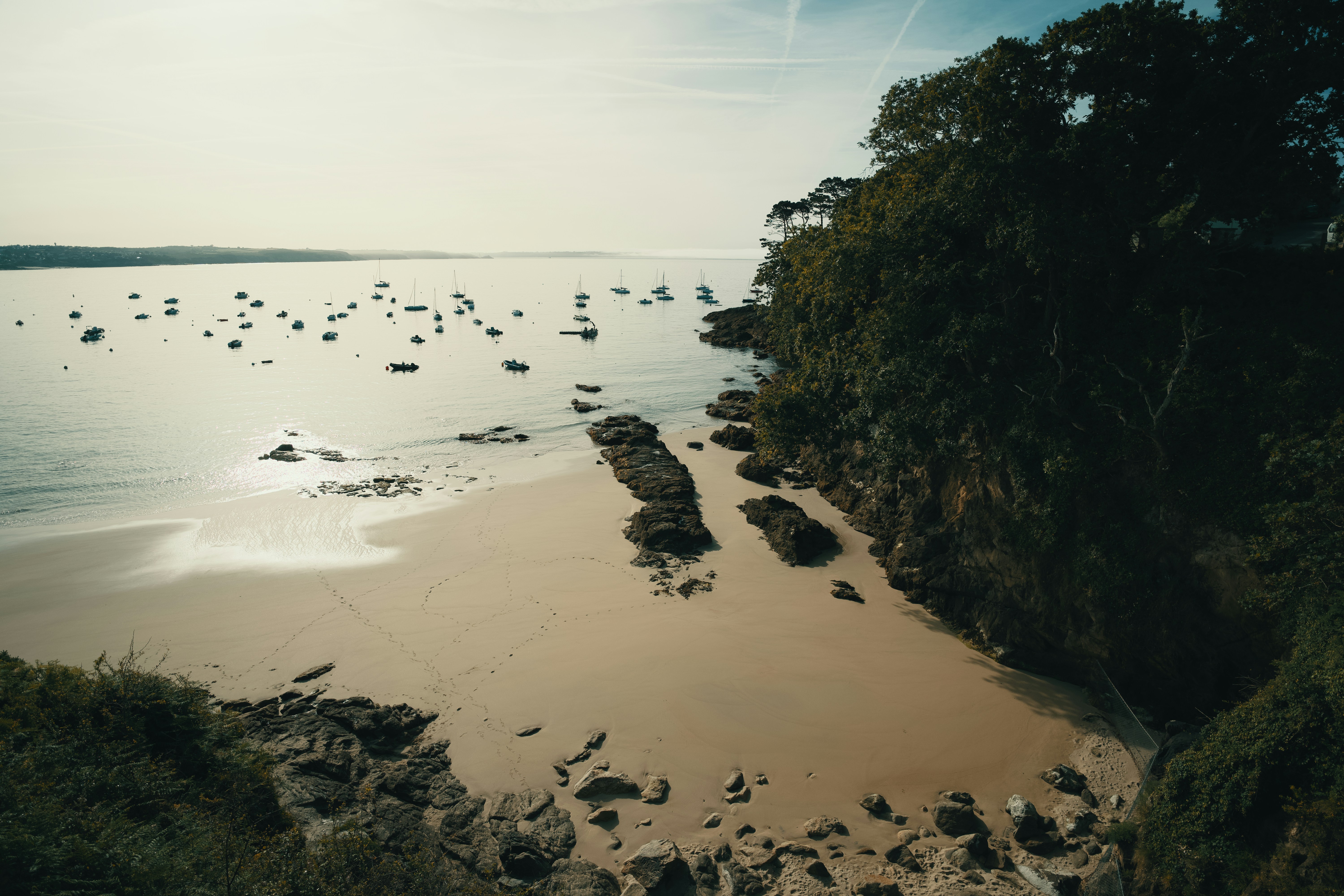 Coastal Cliffs and Seabirds at Dusk