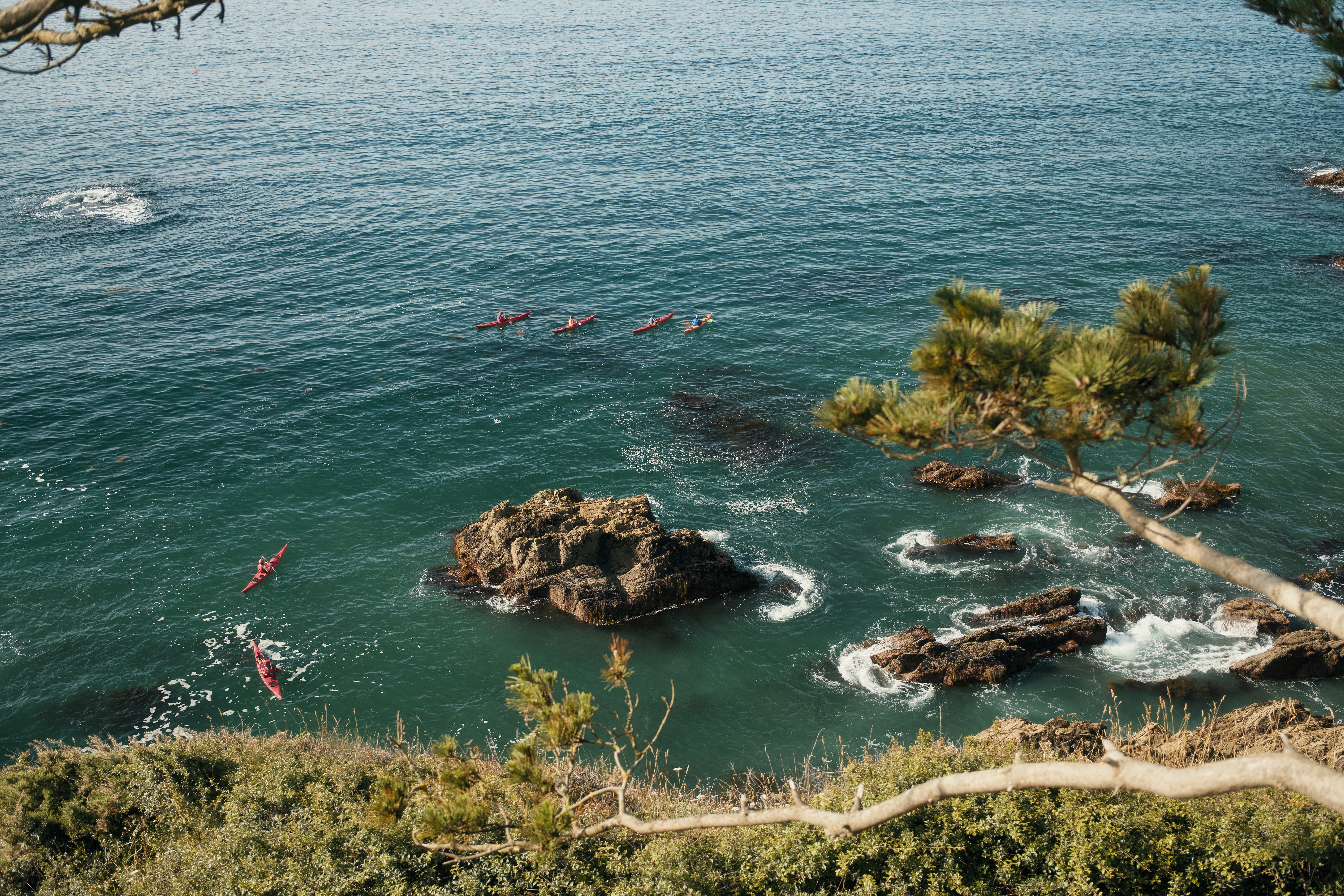 Aerial View: Coastal Rocks, Pine Branch, and Kayaks in Turquoise Surfer Water