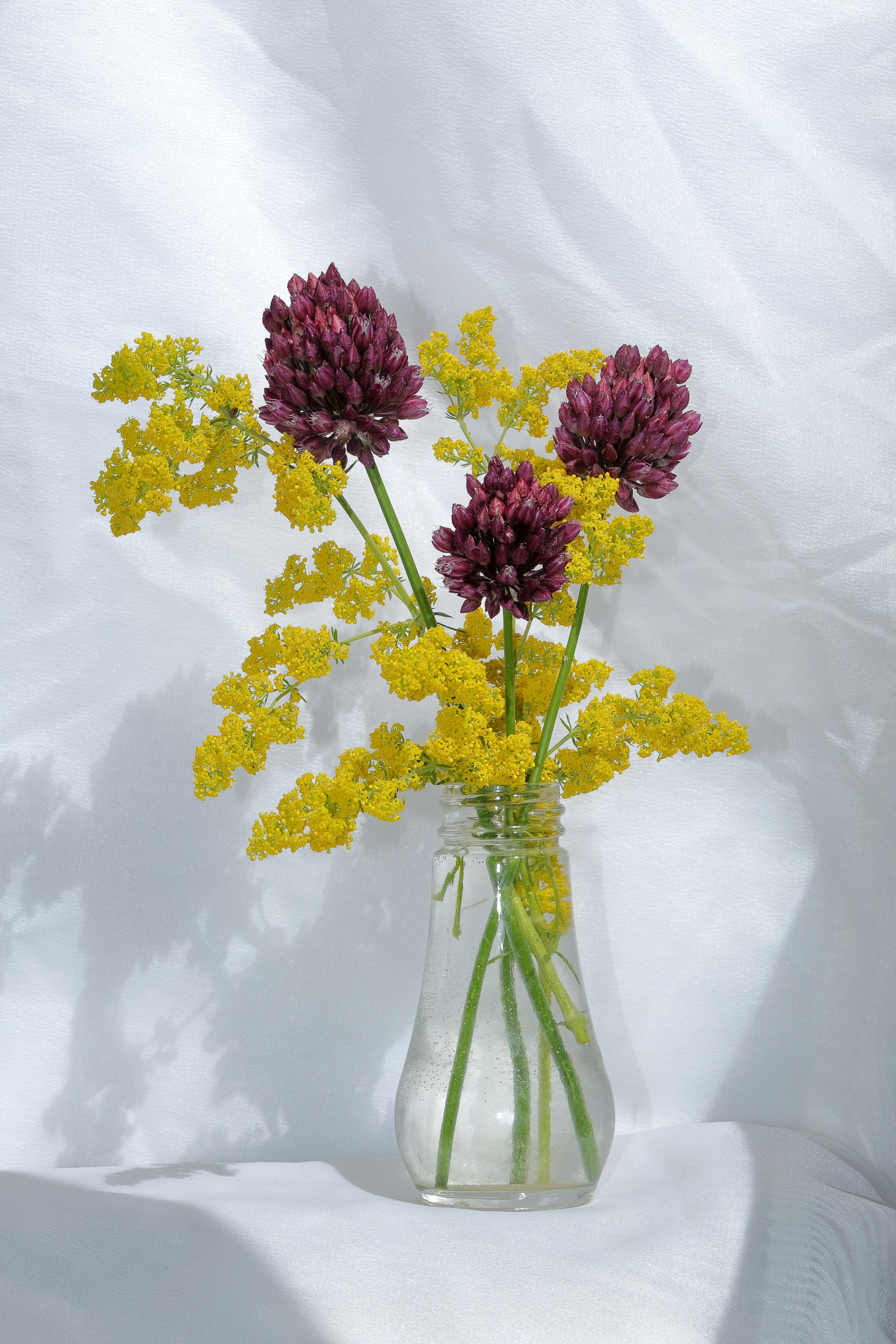Vibrant Bouquet in a Simple Glass Vase