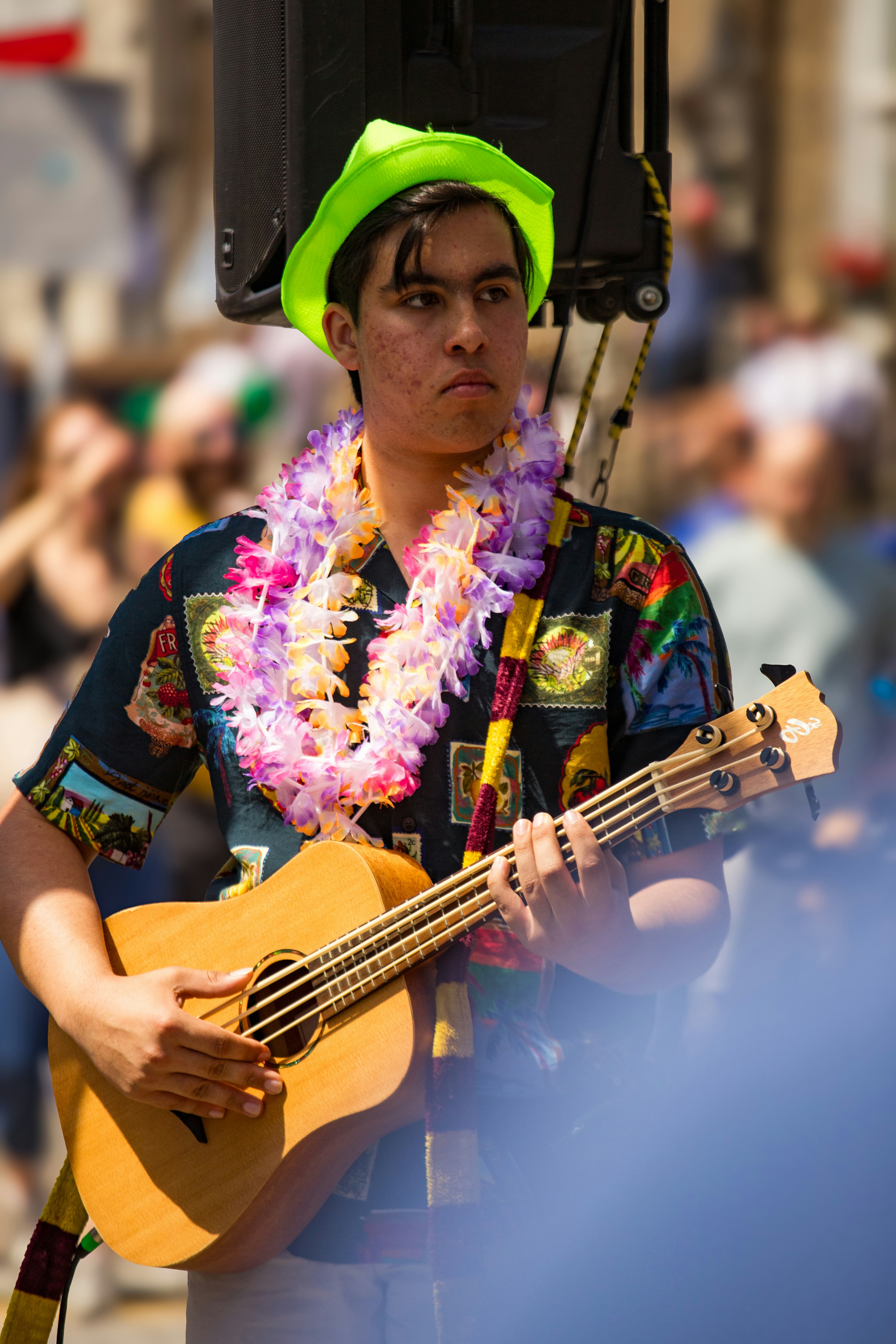 Harmonic strings: a street musician in a tropical lei