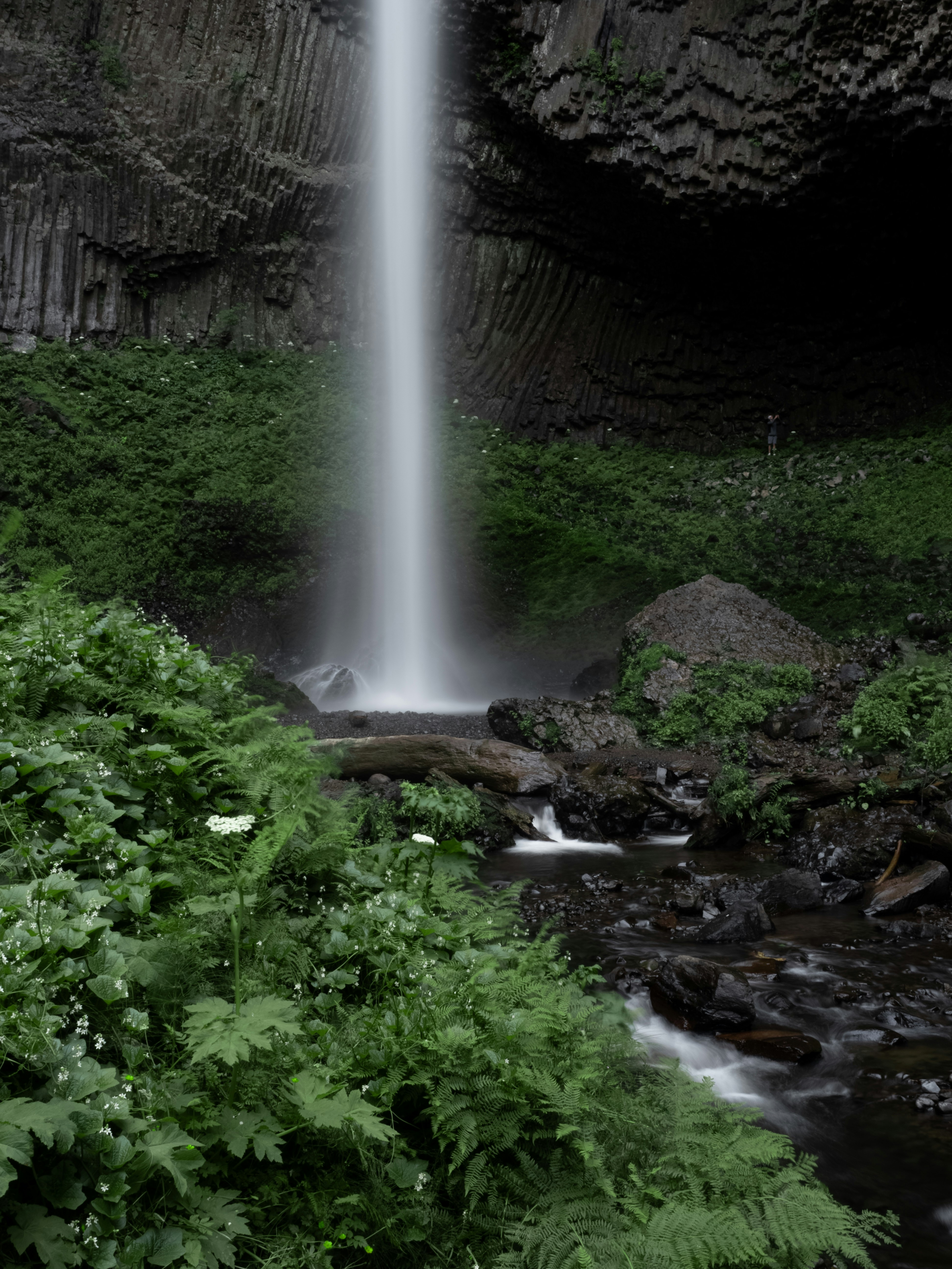 Liquid Veil Over basalt cliffs: a forest waterfall portrait