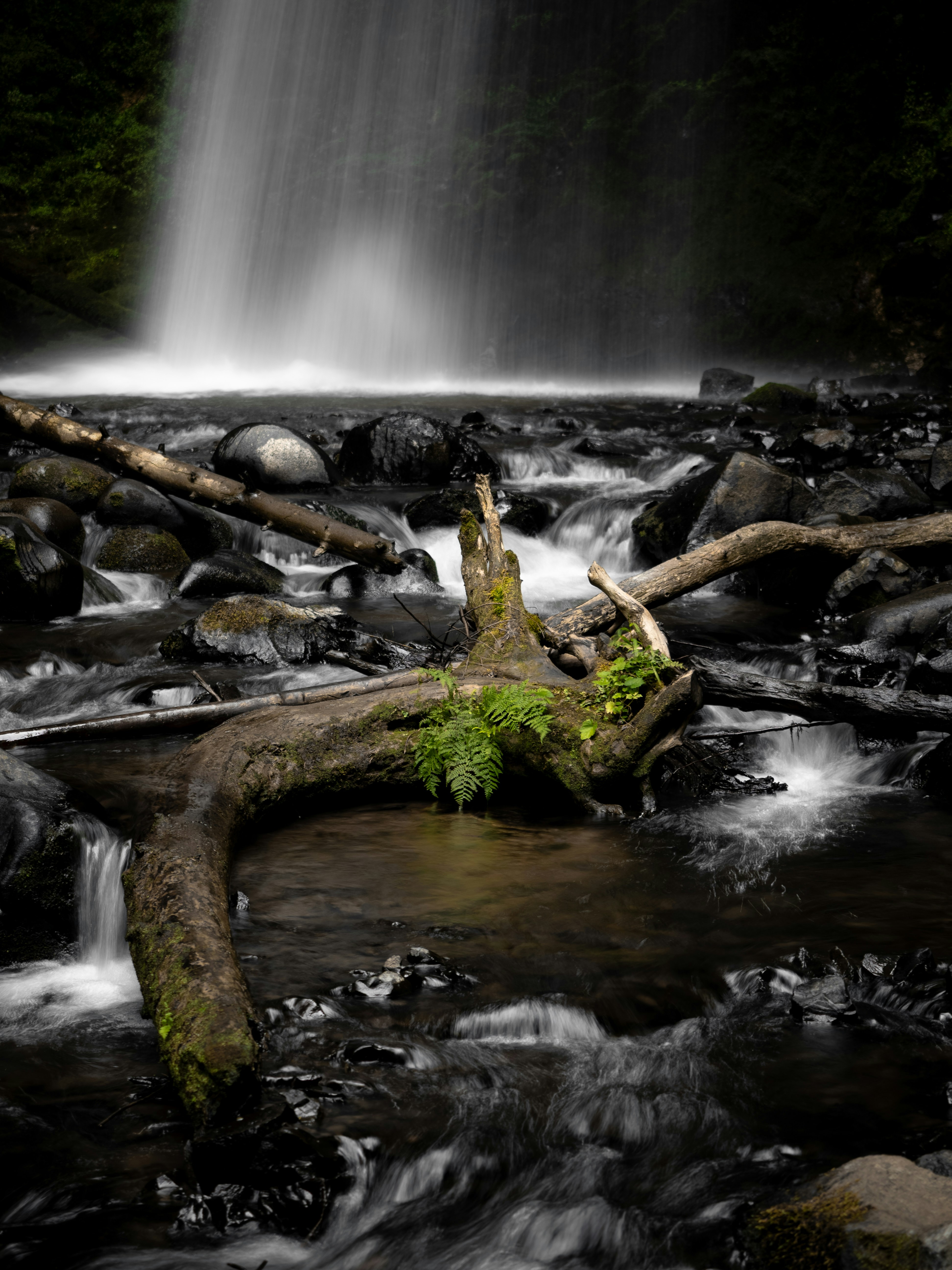 Whispering Cascade: Fallen Logs Framing a Quiet Pool