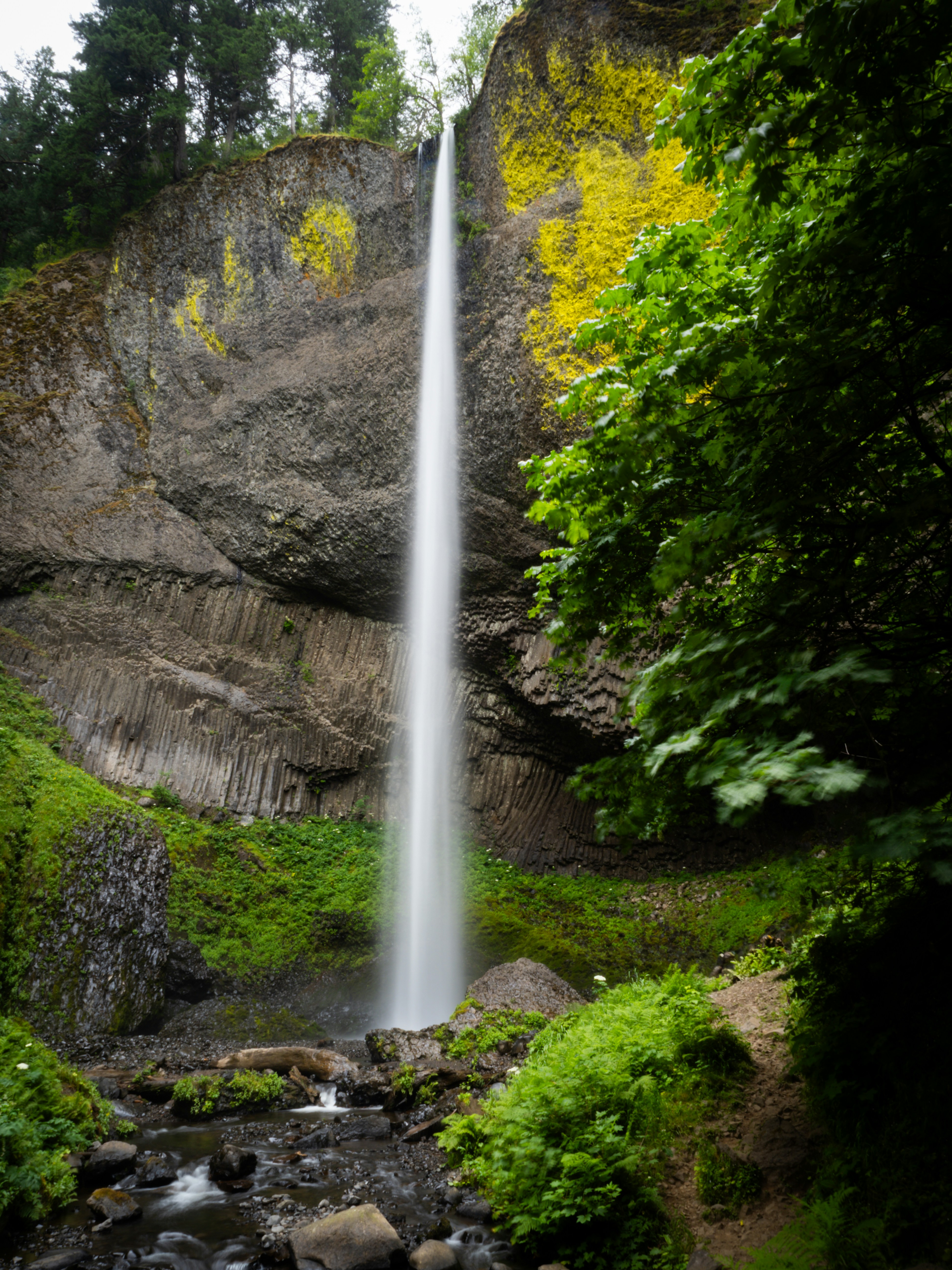 Sylvan Needle: A Narrow Cascade Between Mossy Peaks