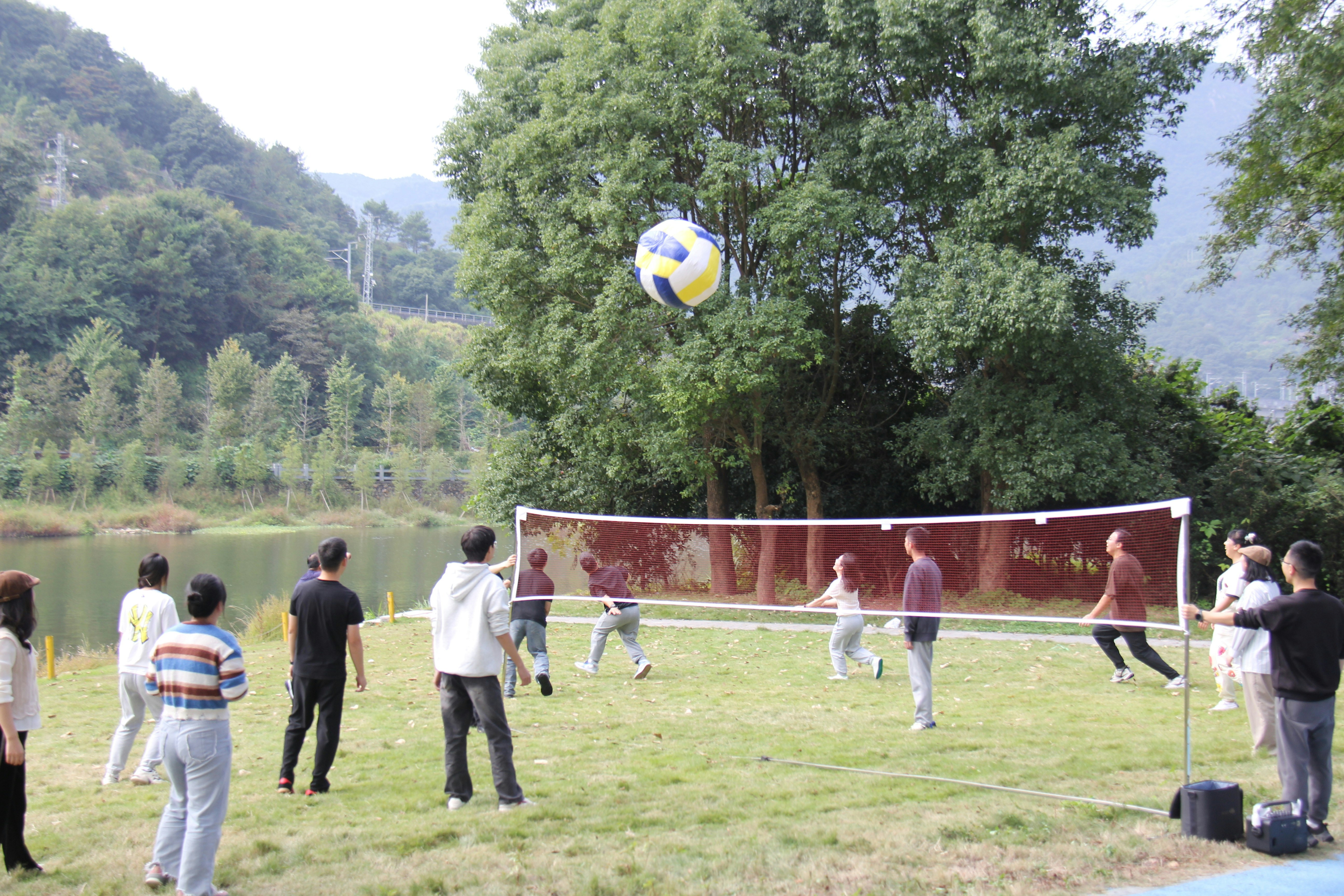 Volleyball in the Park: A Moment of Team Effort Beneath the Trees