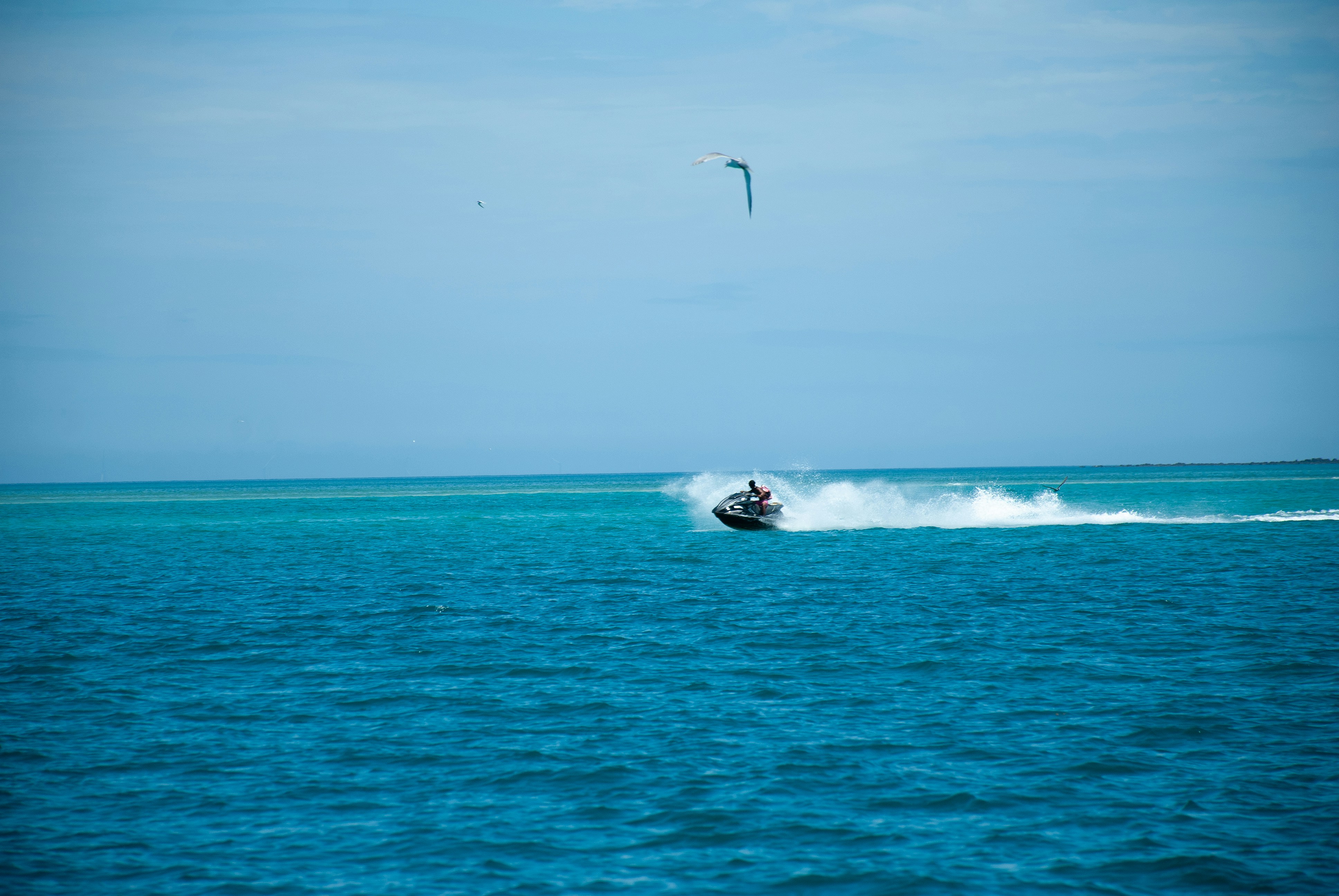 Hydro Arc: Jet Ski and Seabird in a Turquoise Horizon