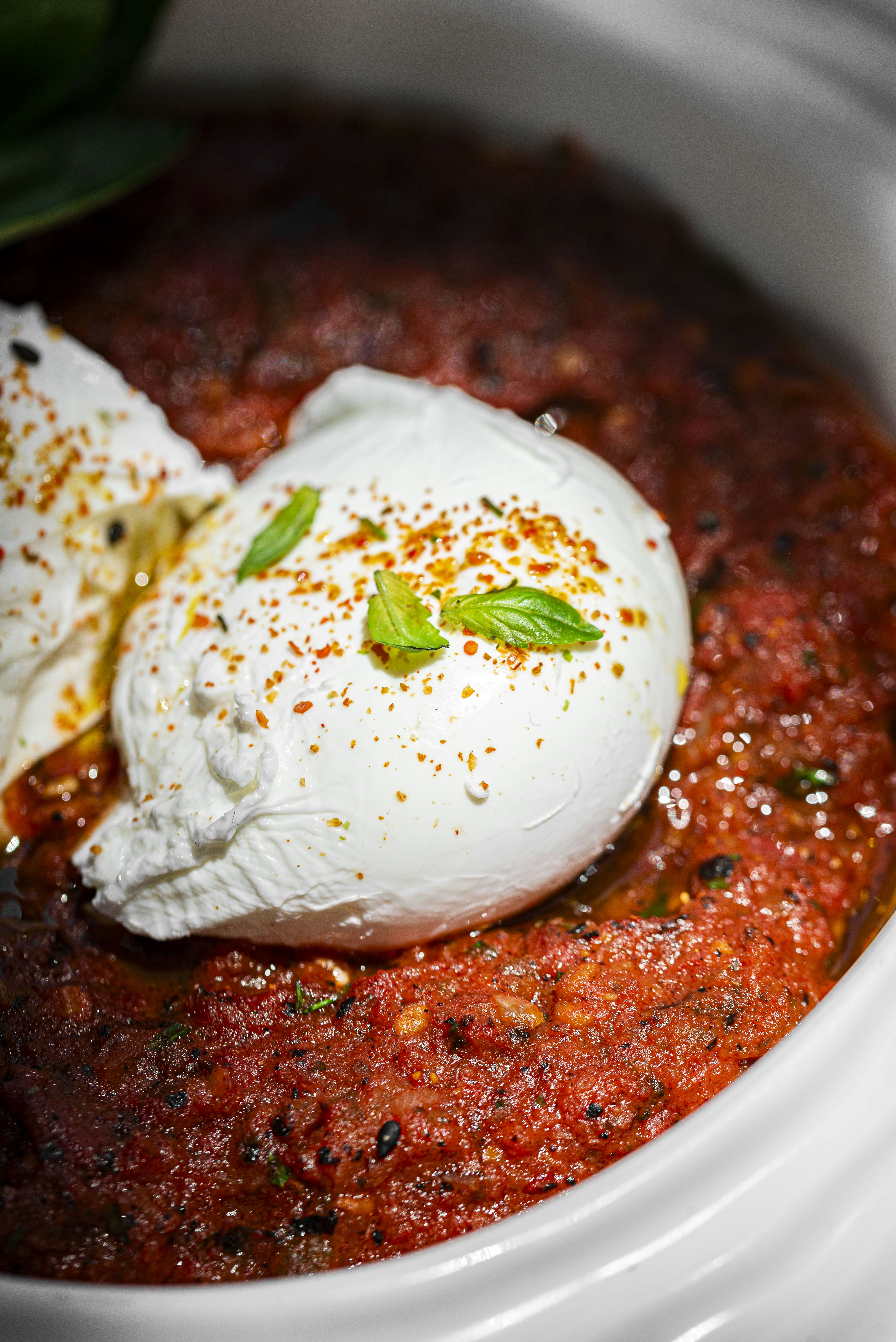 Creamy Burrata in Tomato Mojo: A Sunlit Bite of Comfort
