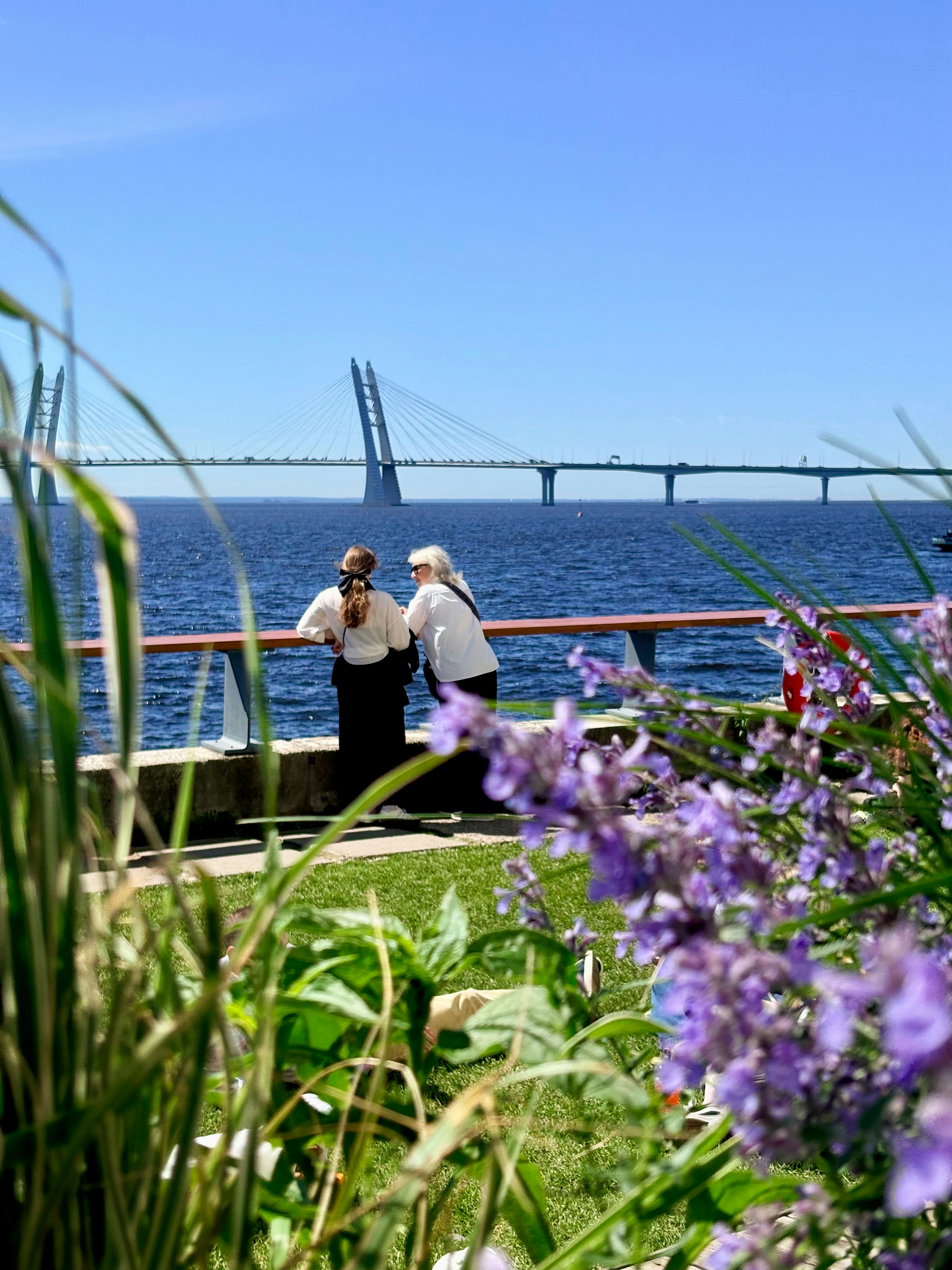 Converging View: Friends by the Waterfront Bridge