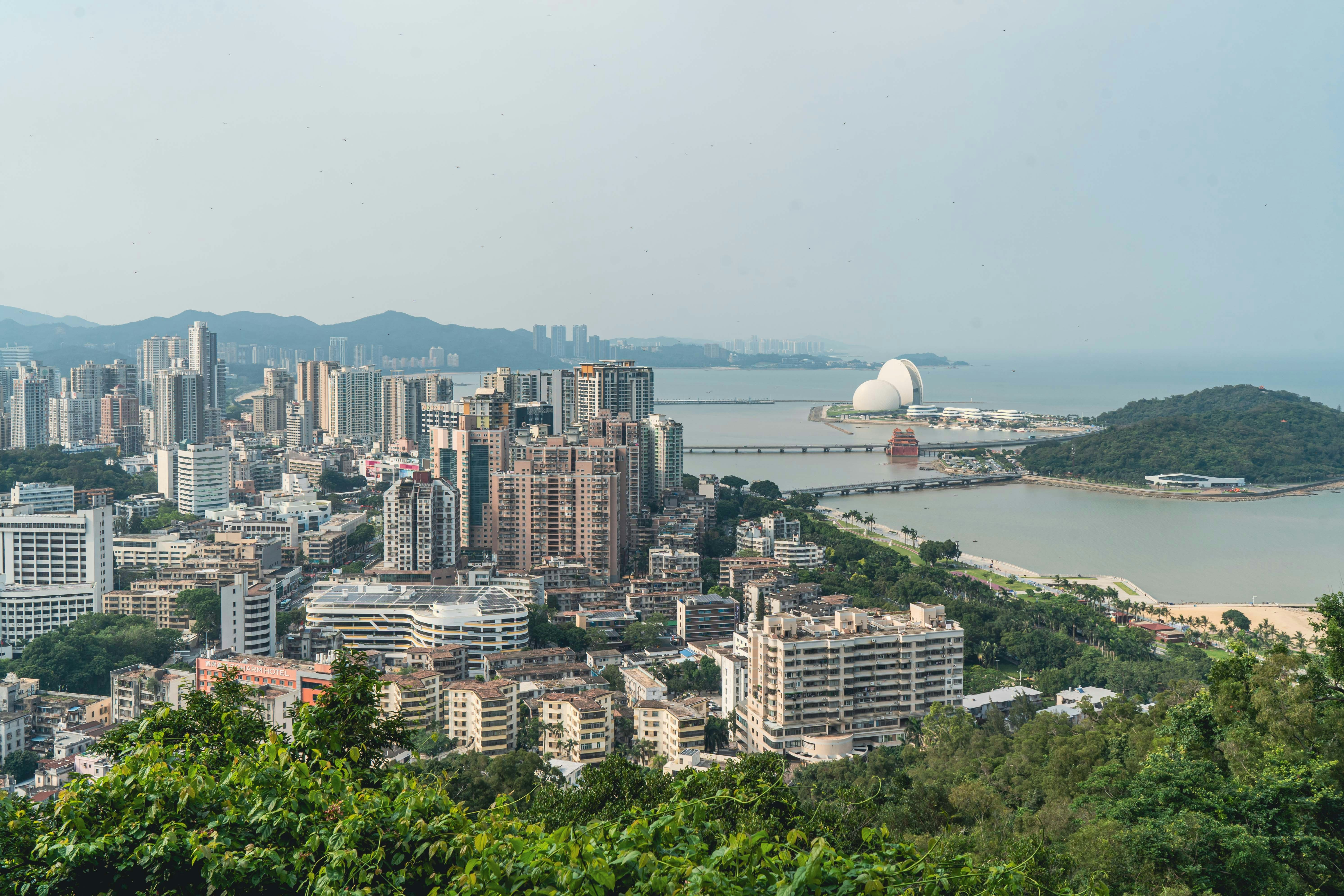 Harbor Cityscape: A Coastal Climb through Densely Built Peninsula