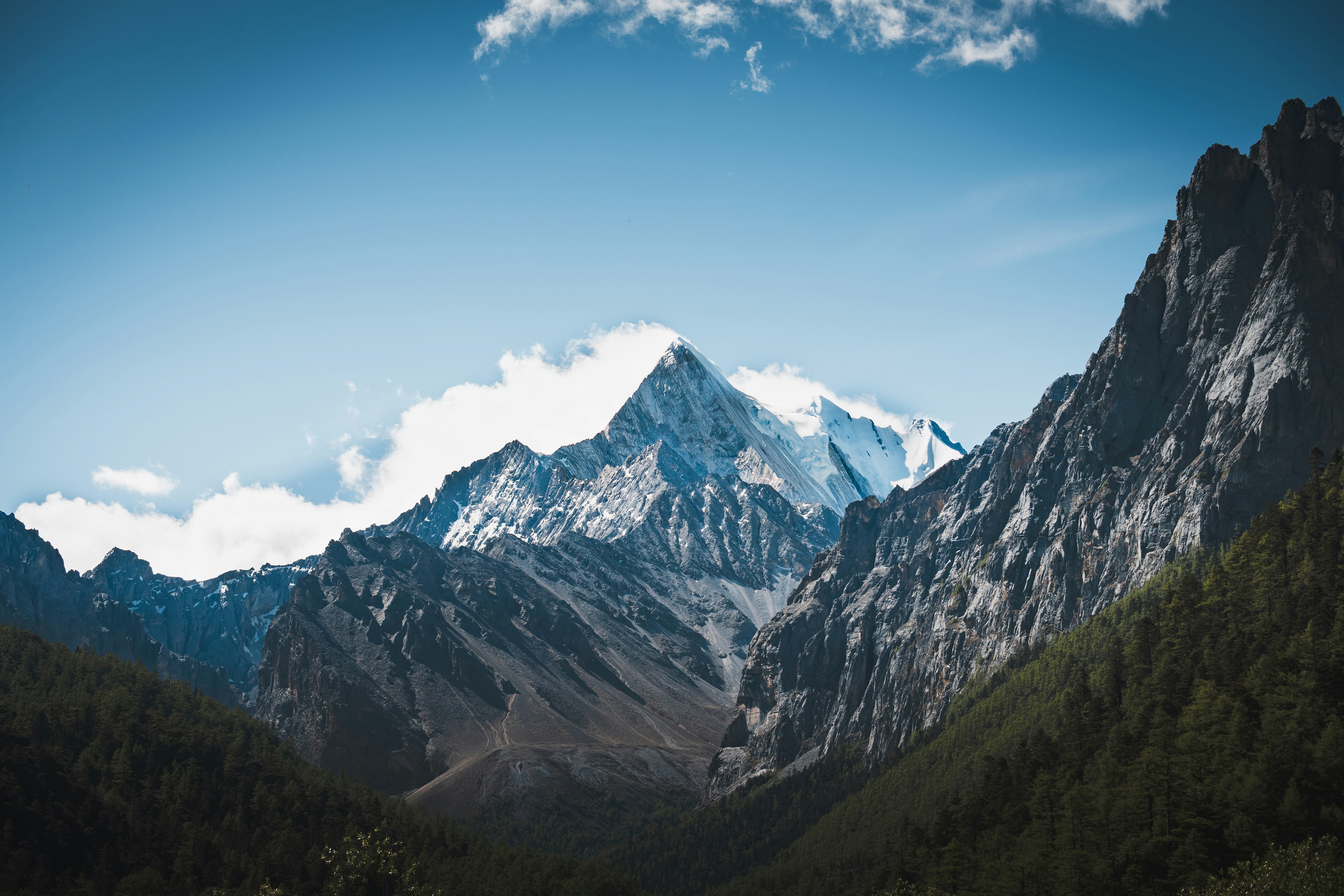 Peak Crown: Snow-tipped Summit Above a Valley of Pines