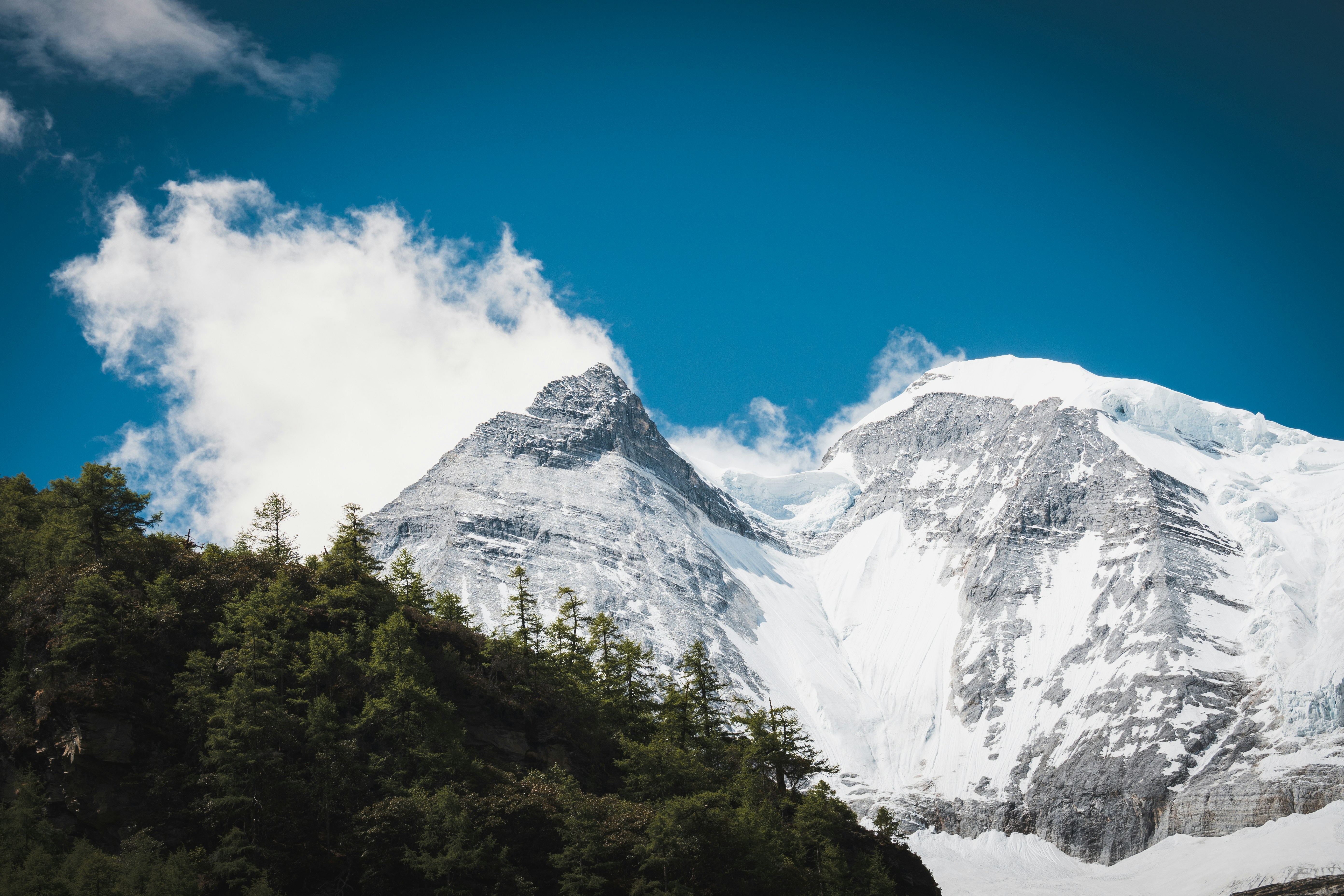 Snowy Peak Emerges Over Forested Foreground