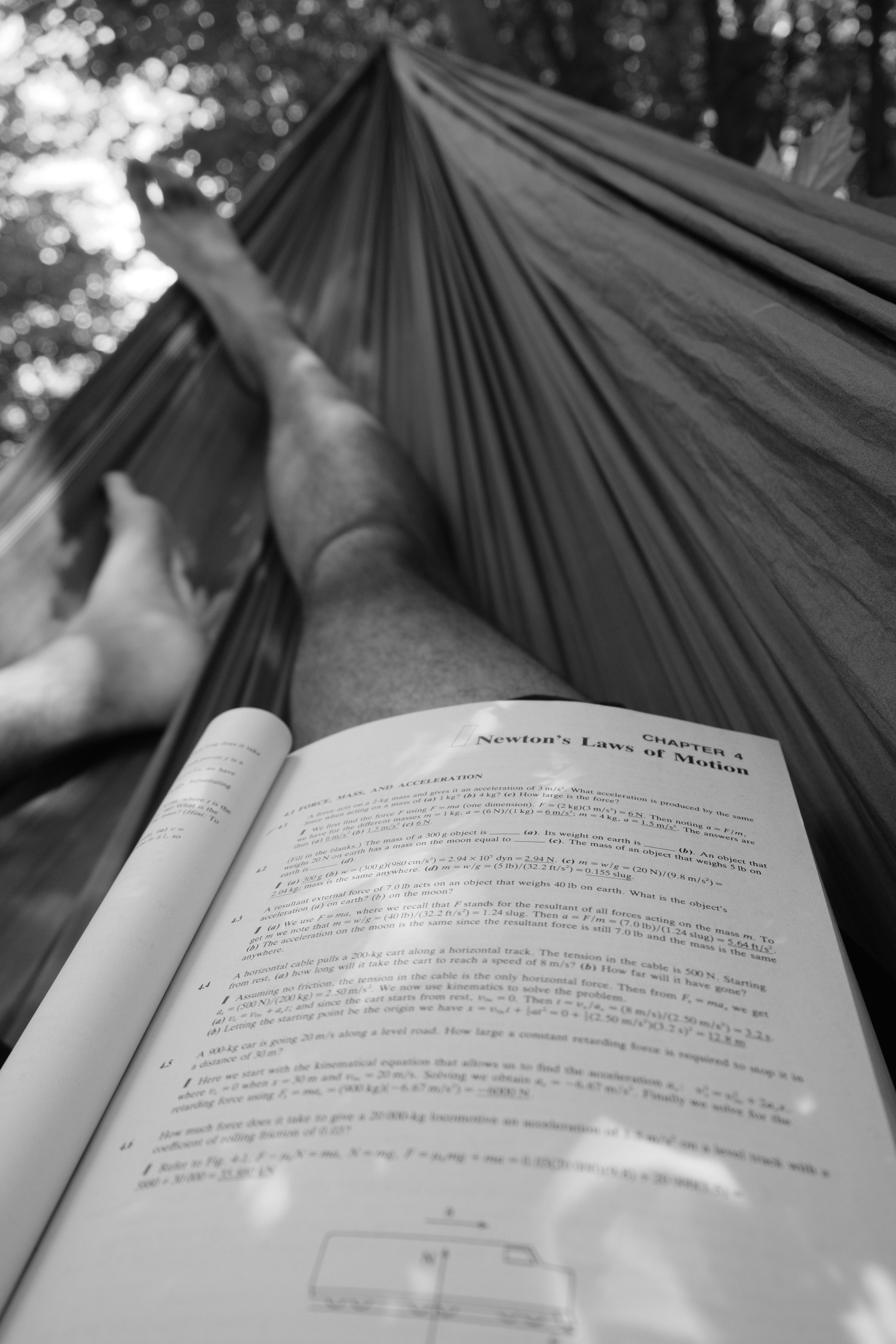 Overhead Hammock Reading in Dappled Light