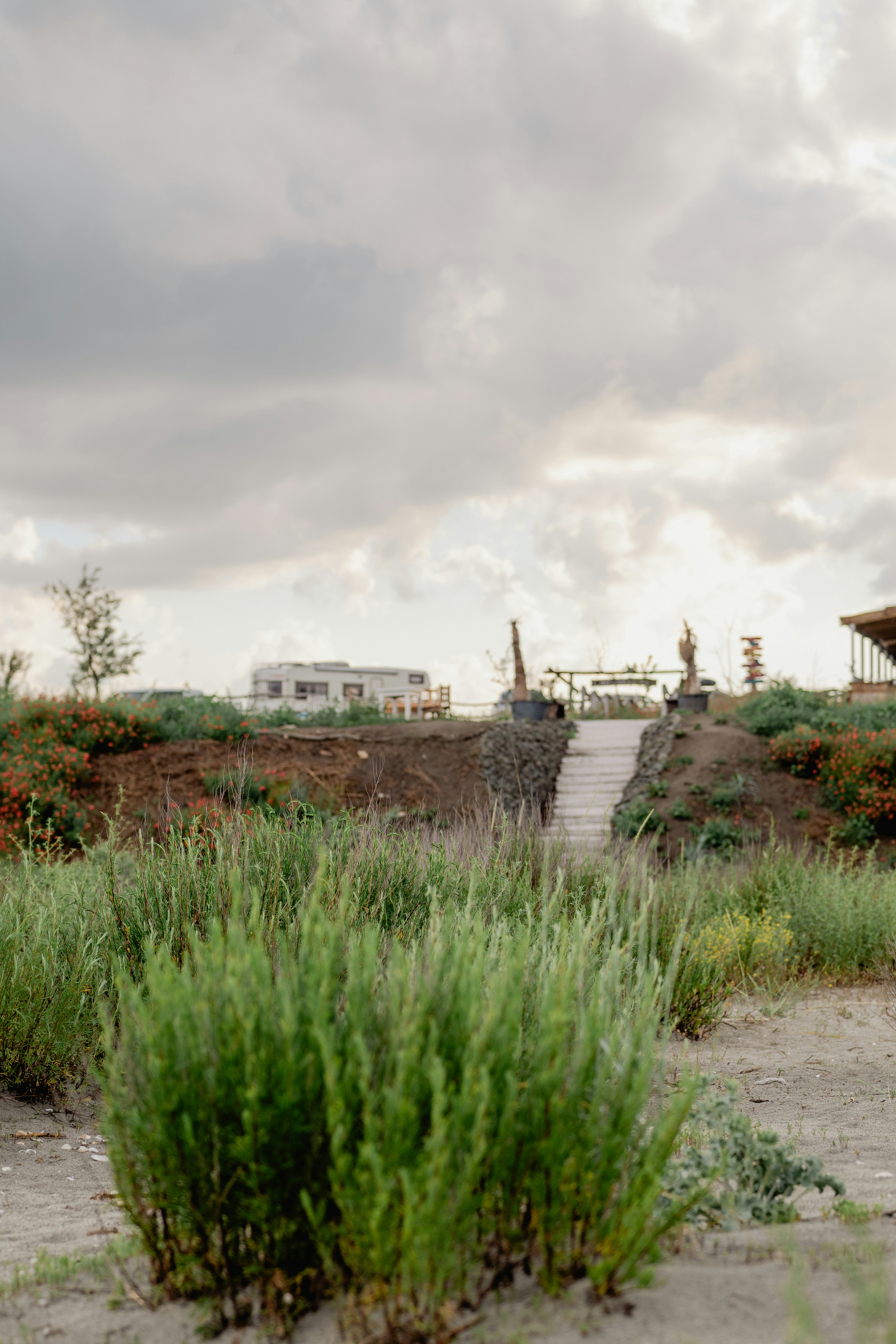 Rugged Path to a Distant Terrace