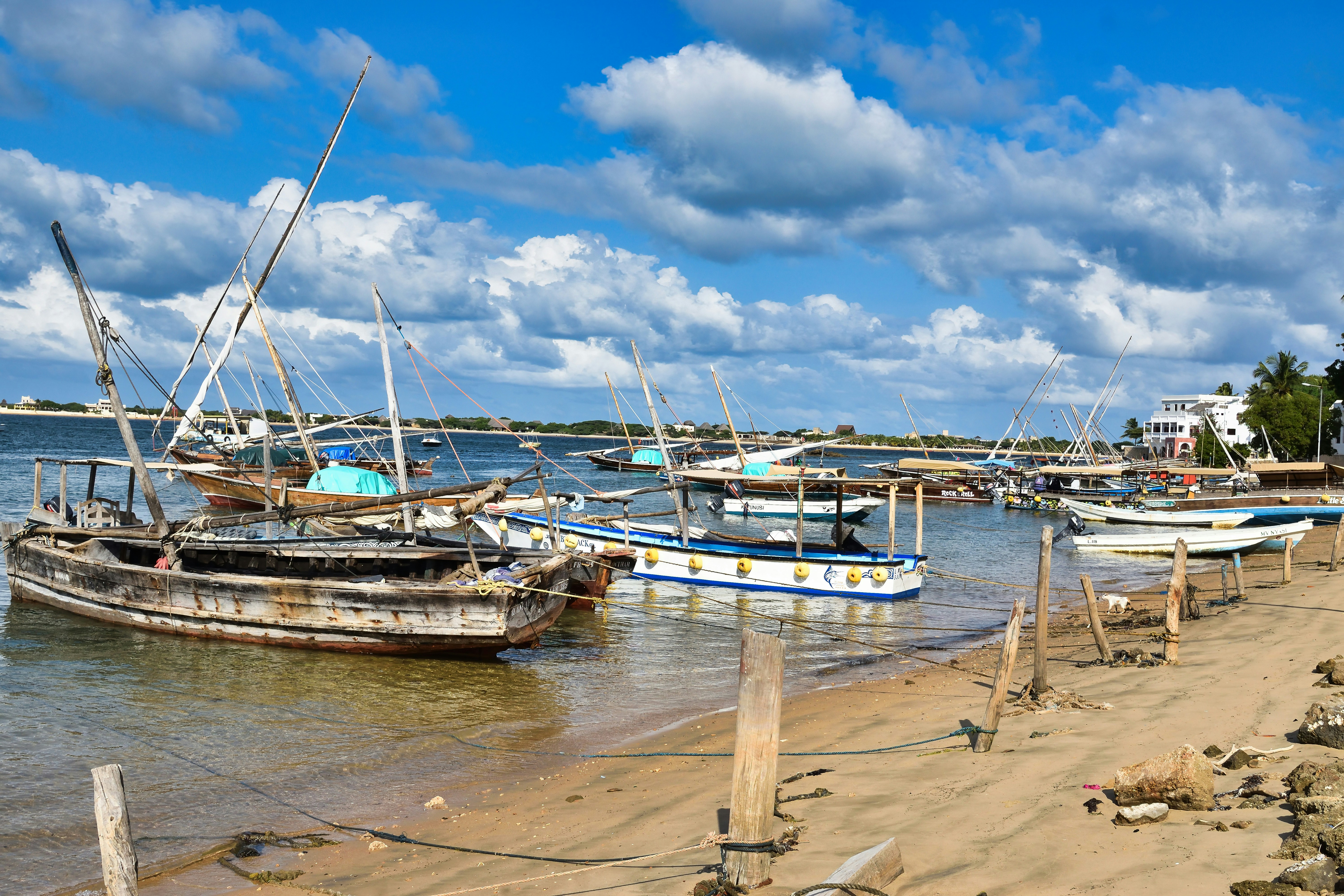 Harbor Boats Resting on Tidal Stage by a Sunny Shore