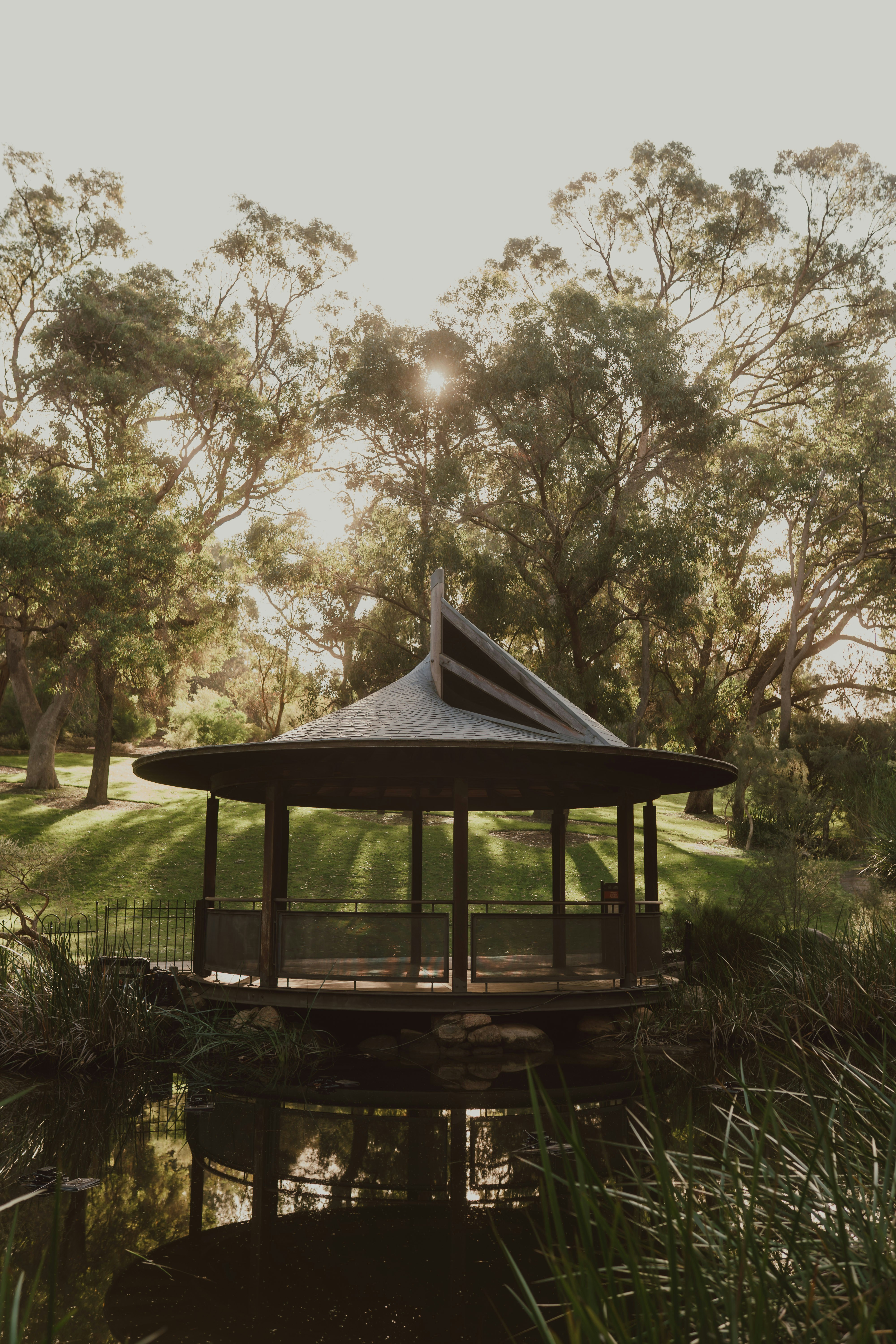 Sunlit Serenity: A Circular Gazebo Quietly Centered in a Lush Park