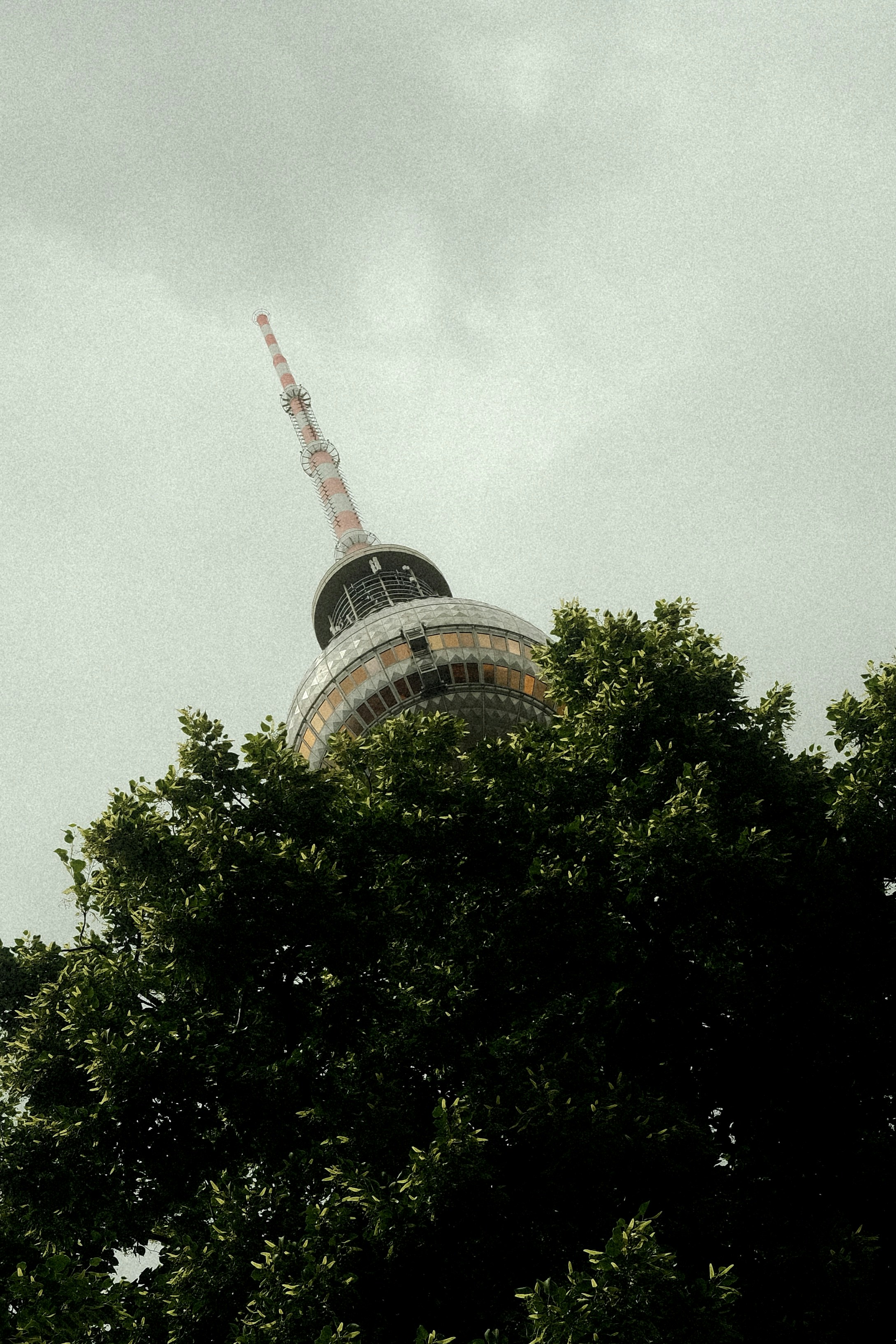 Antenna Piercing the Sky Above a Green Canopy