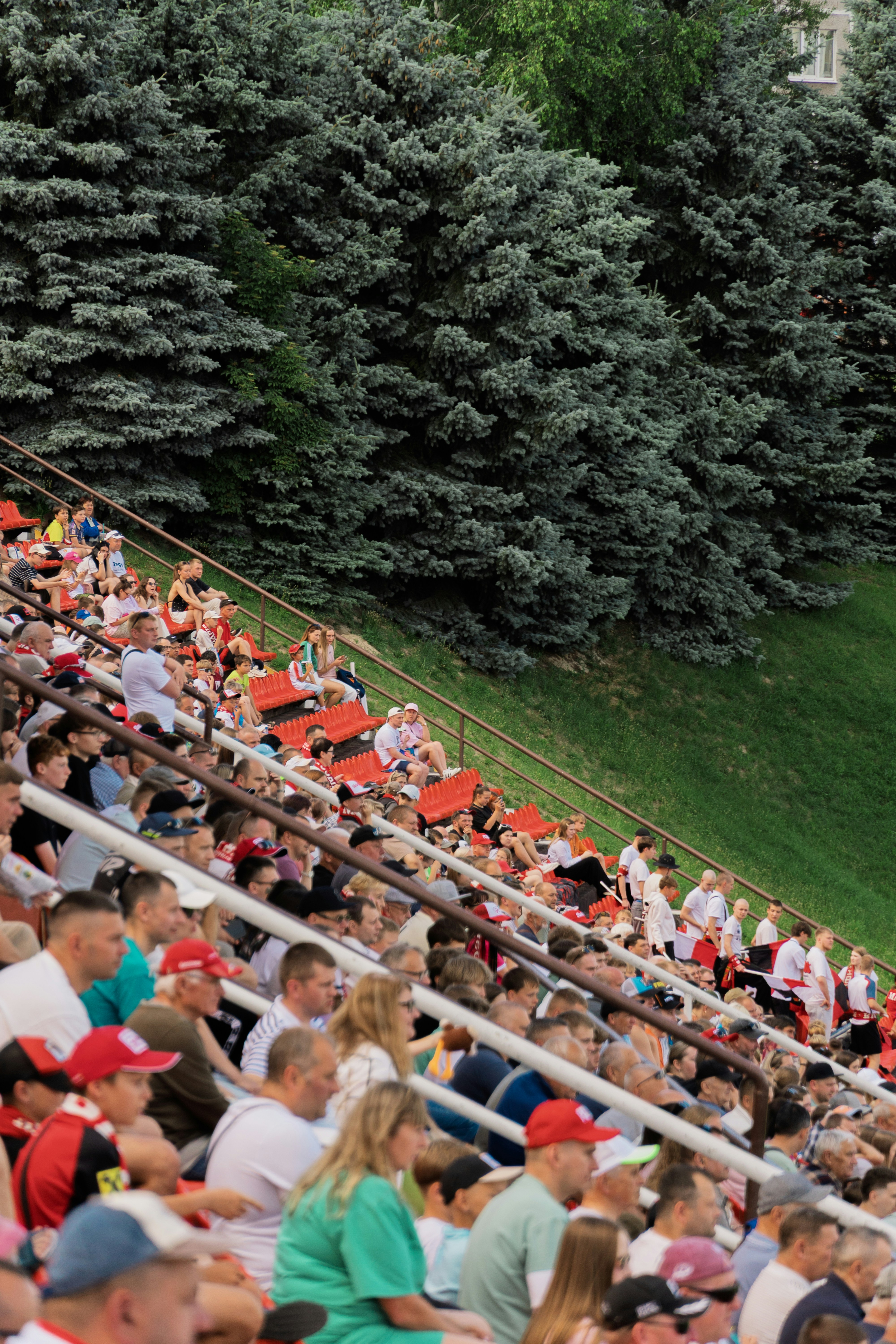 Bleacher Sea of Fans: A diagonal crowd under evergreen backdrop