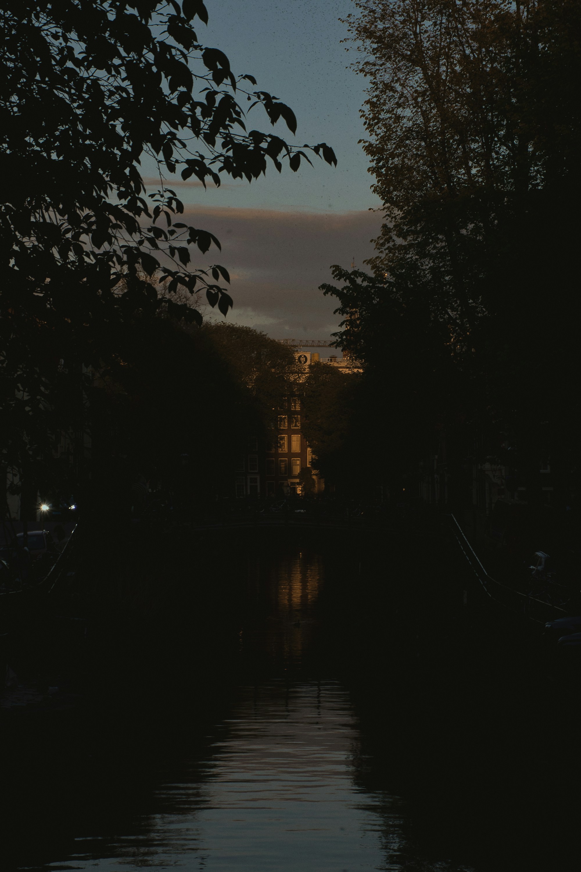 Glow in the Canal: Evening Facade Behind the Trees