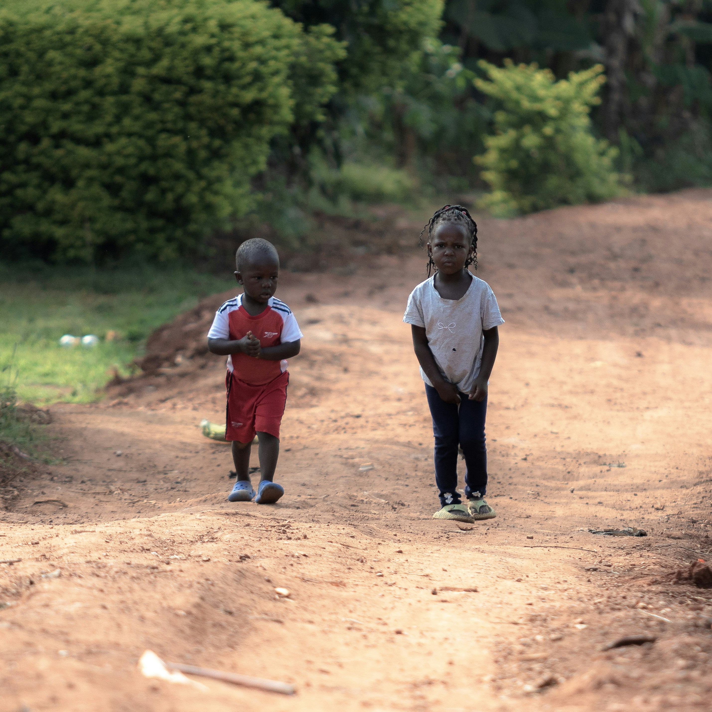 Two children on a dusty path under green hedges