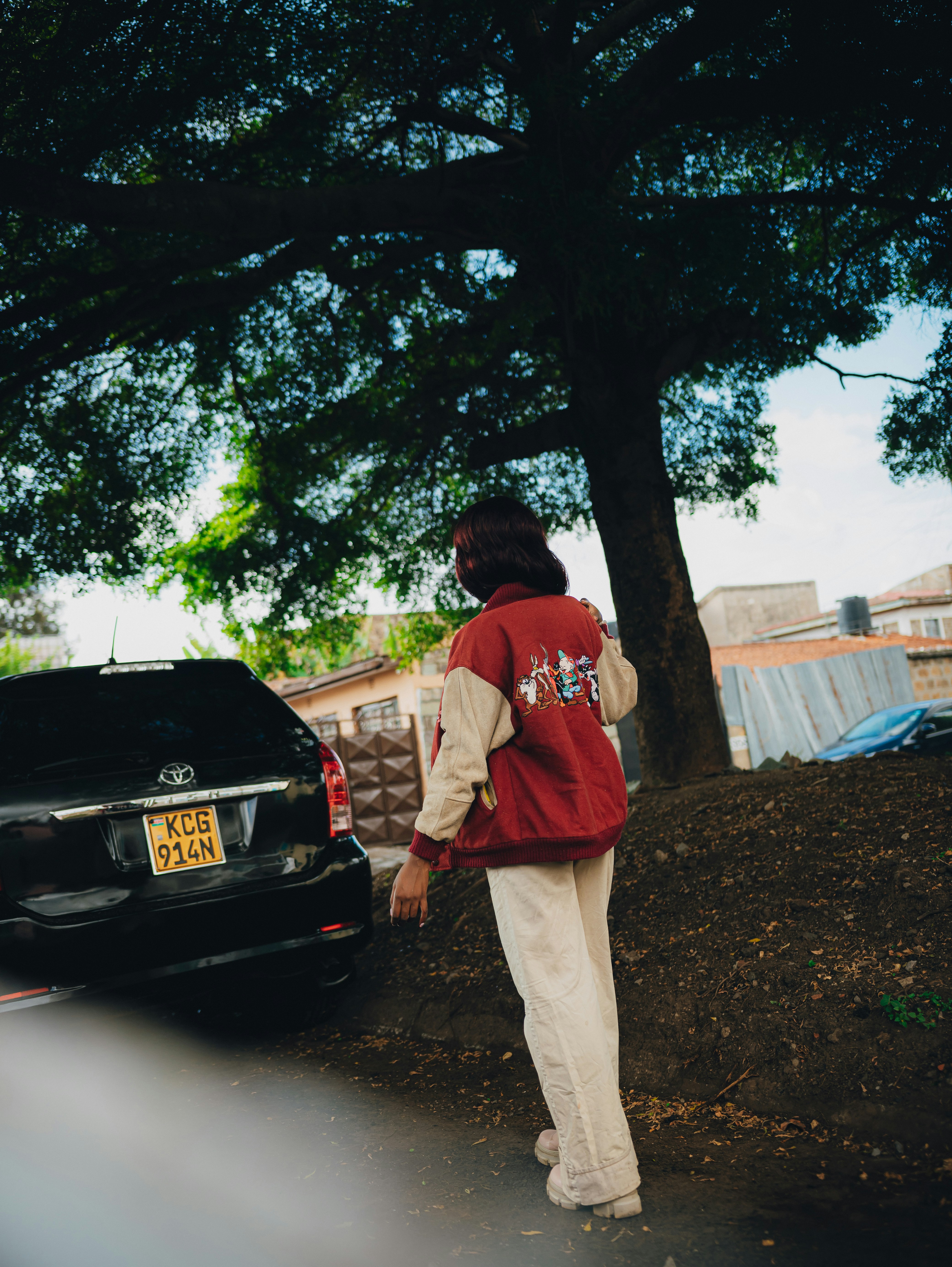 Red-Backed Street Stance Under an Old Tree