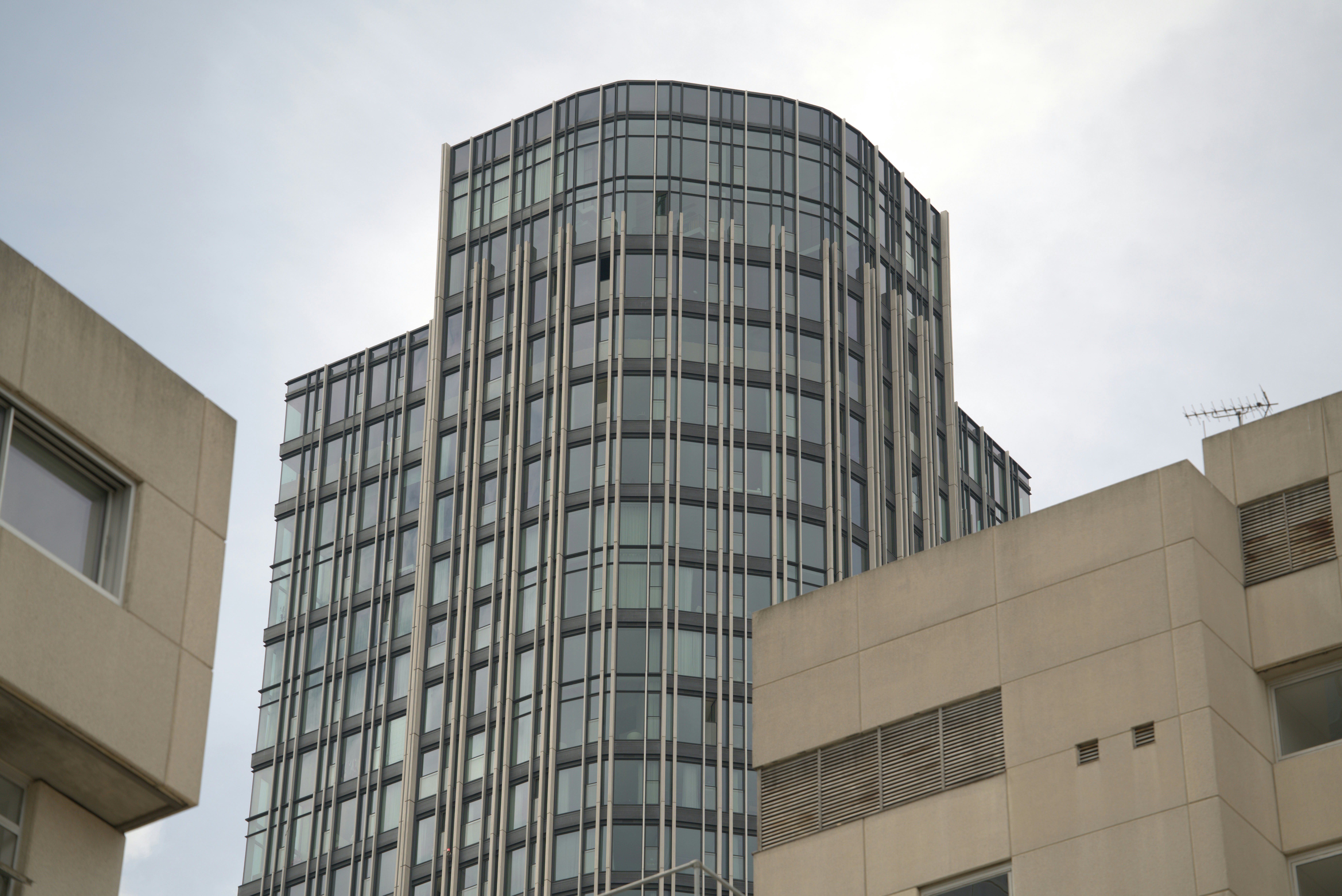 Glass-veined Skyscraper Rising Above Concrete Frames