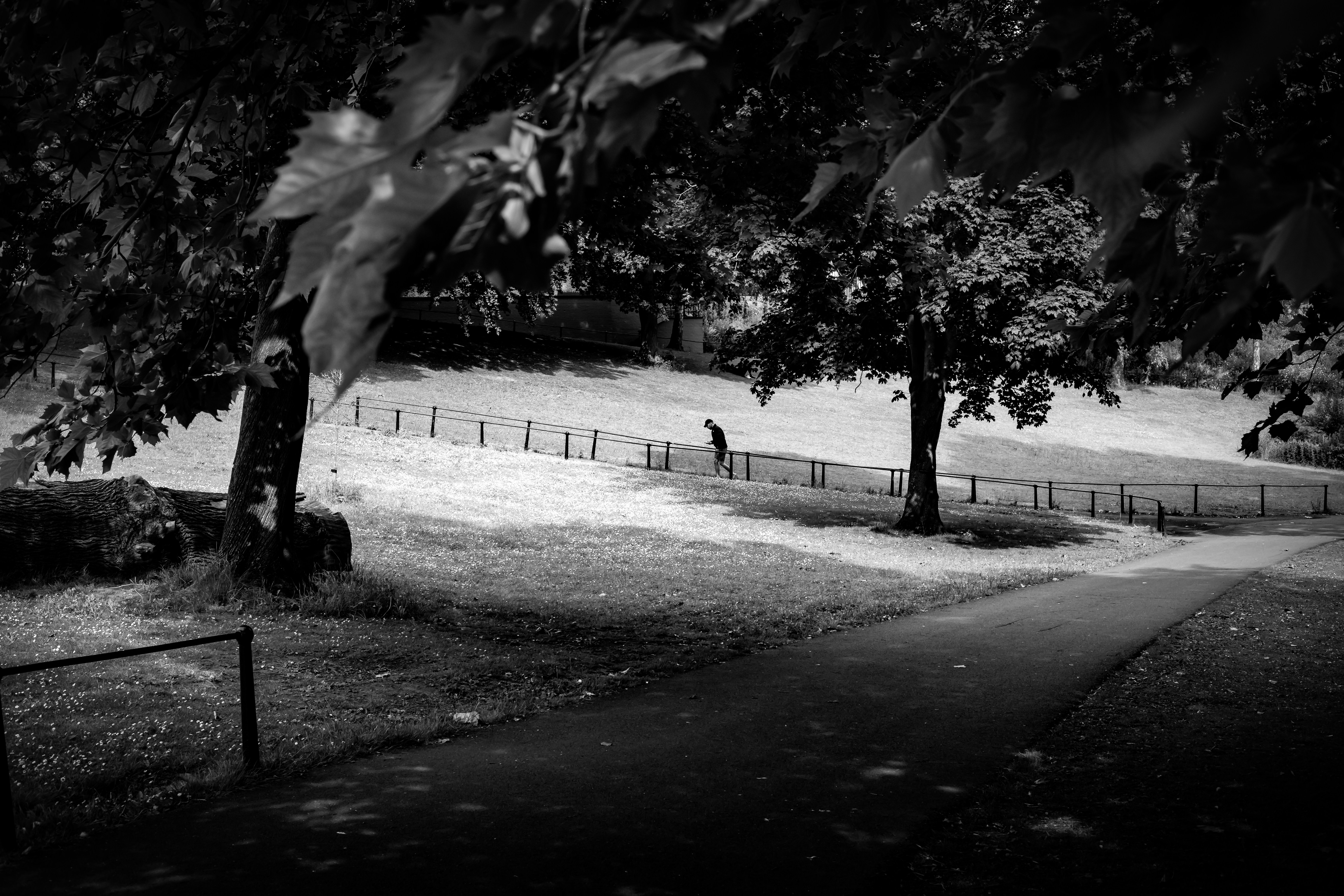 Lonely Figure on a Fenced Hill