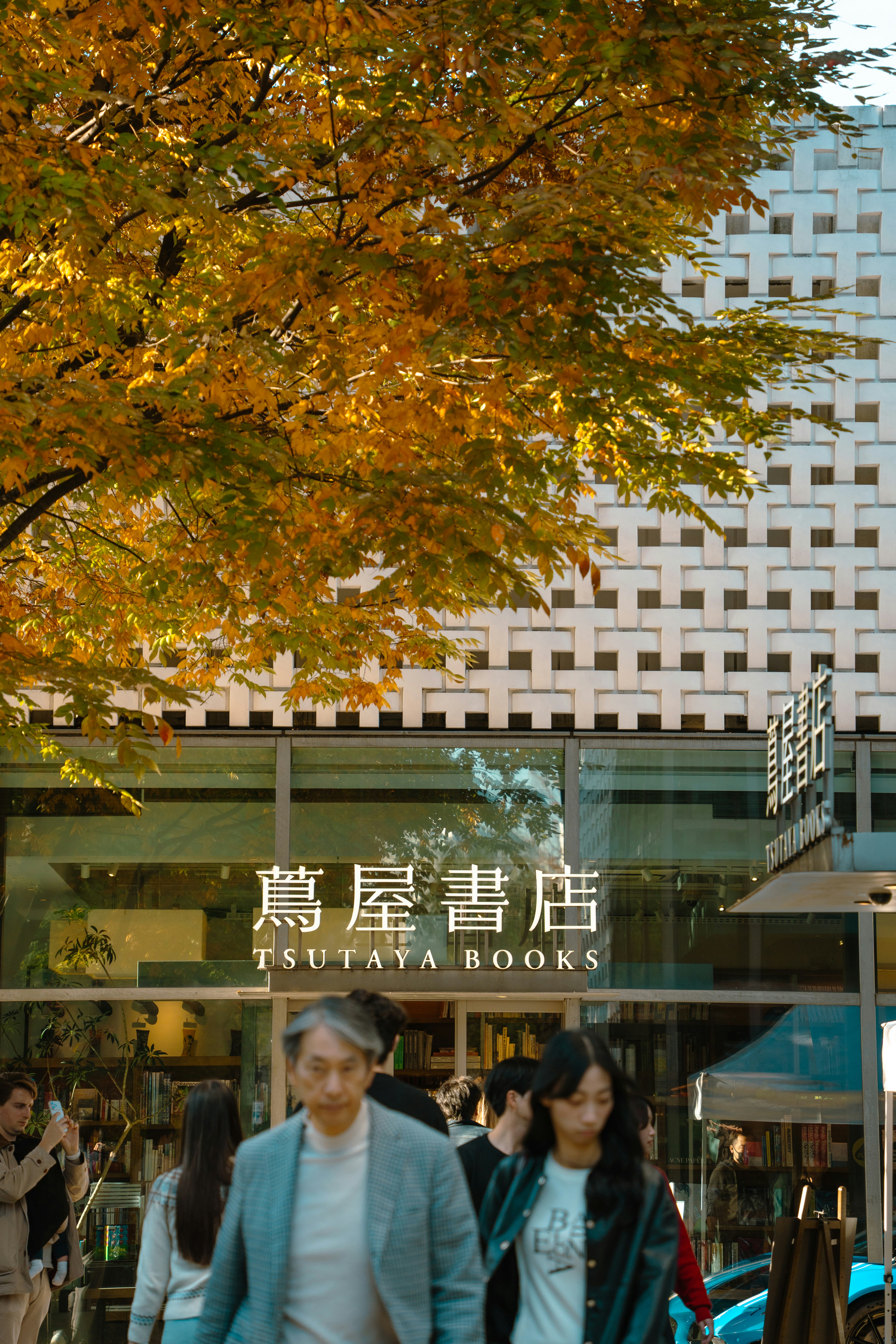 Autumn Canopy Over a Quiet Bookseller Front