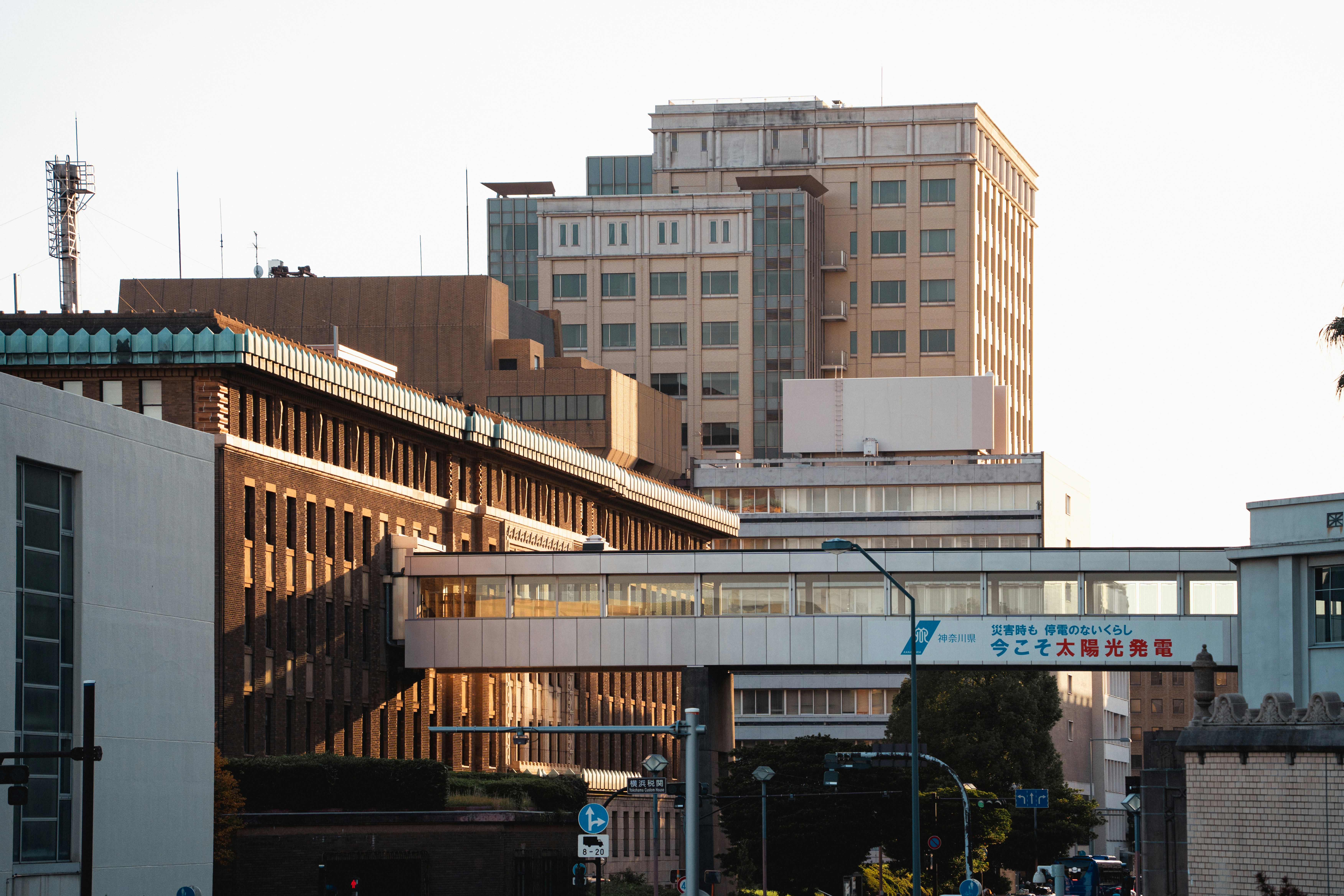 Urban Campus: Morning Light Across a City Block