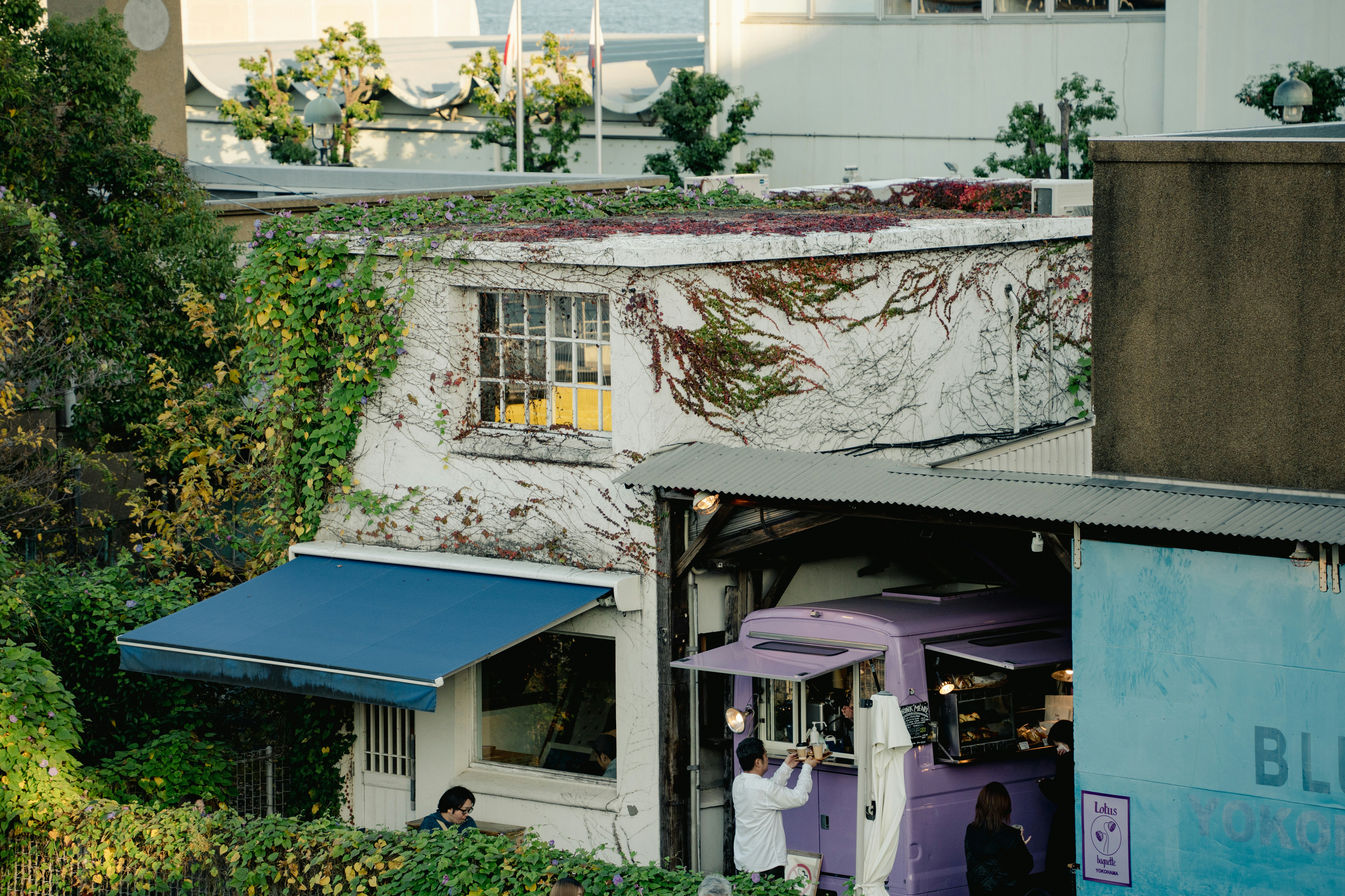 Purple canopy, ivy-clad wall, and open-air market corner