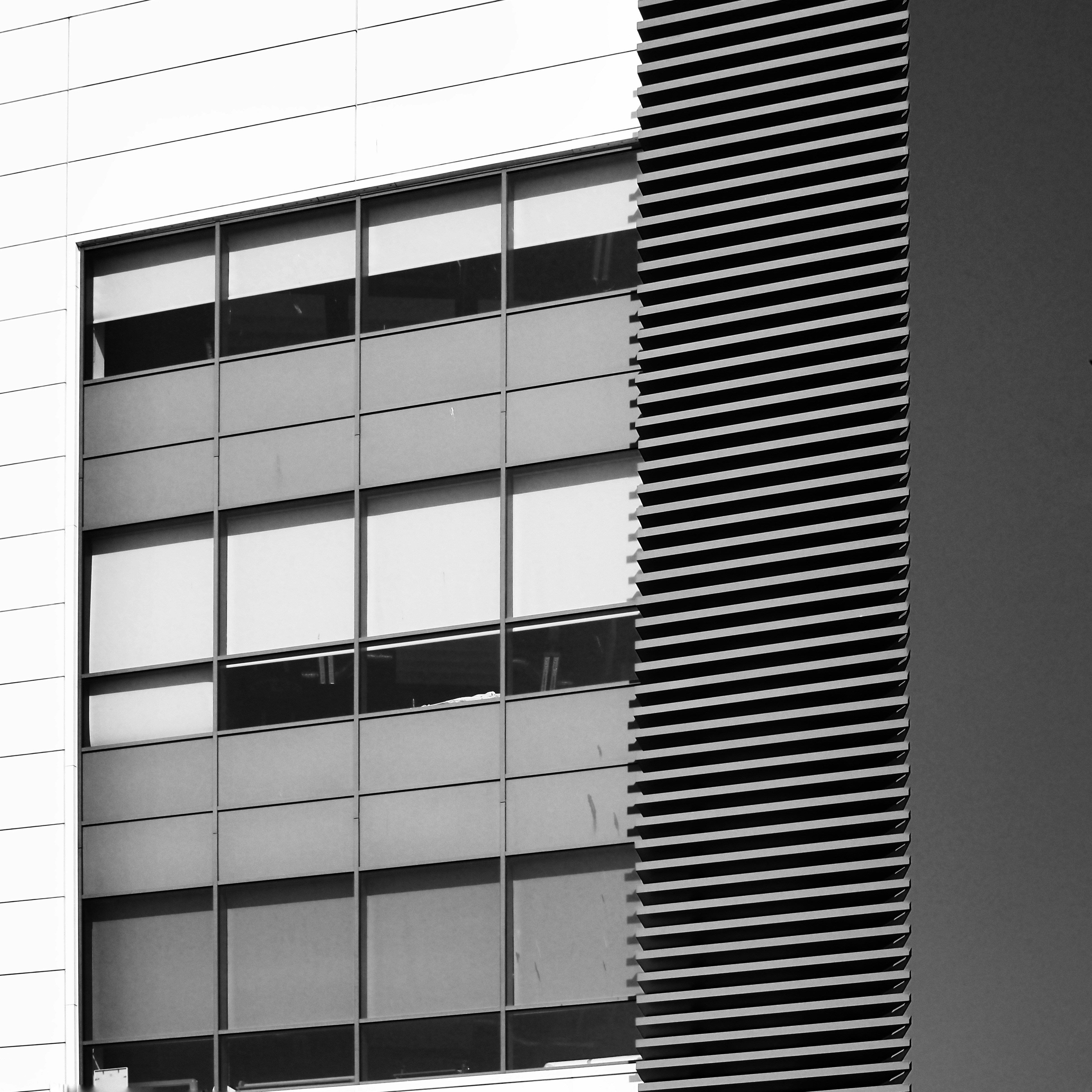 Urban Facade: The Grid and the Stripes in Monochrome