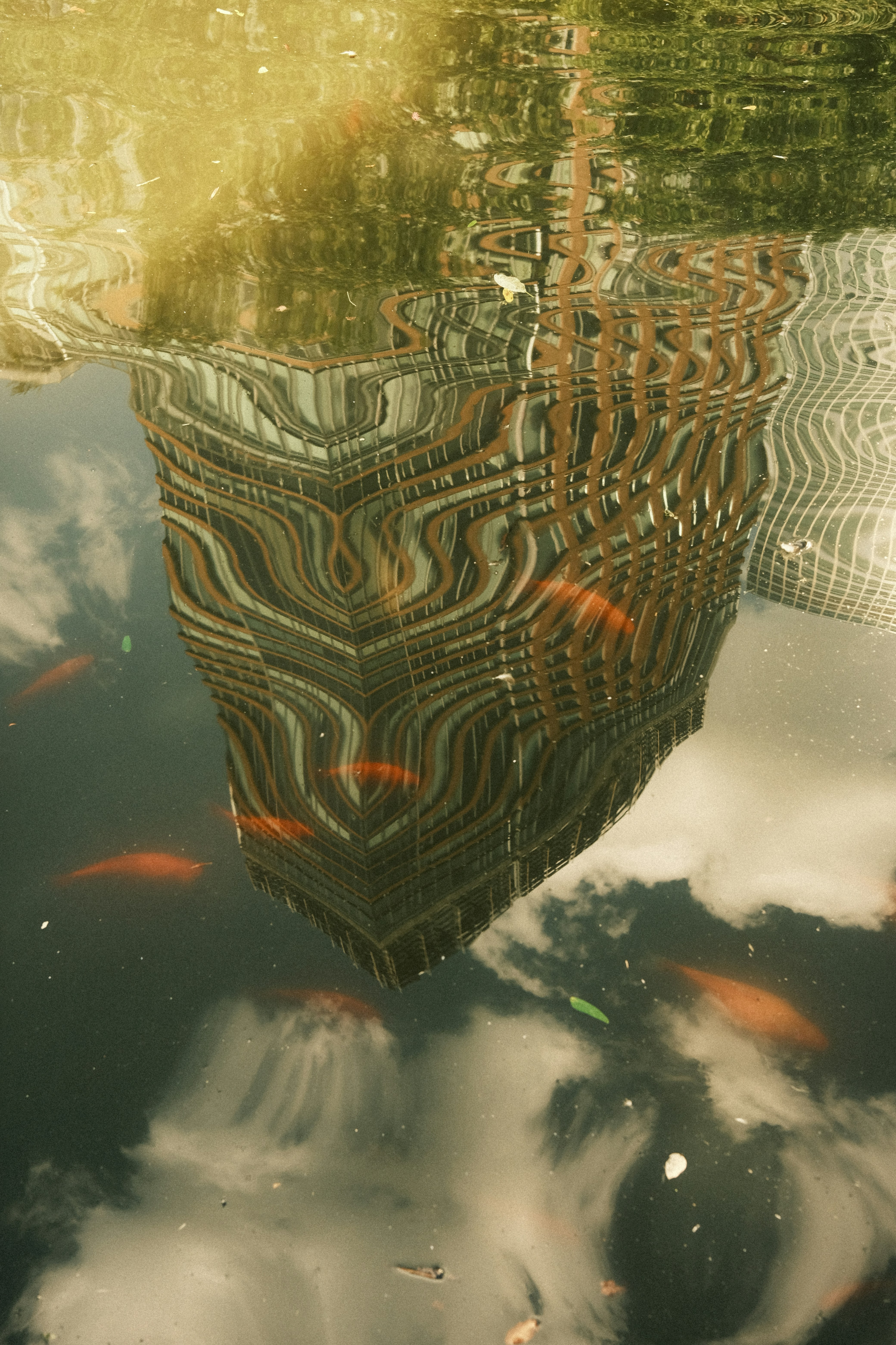 Reflections of a Wavy Skyline