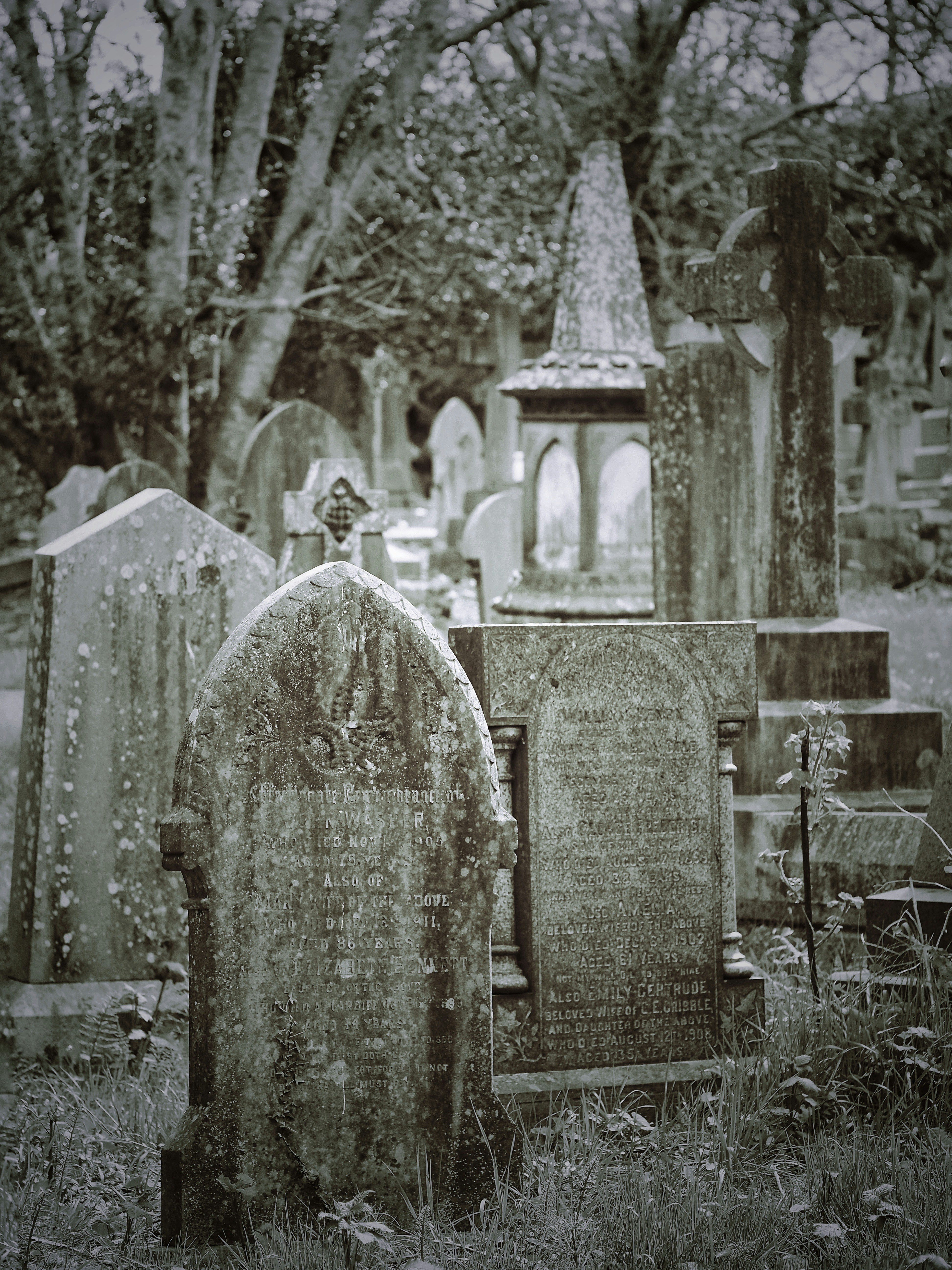 Whispers of Stone: A Quiet Graveyard in Monochrome Moss