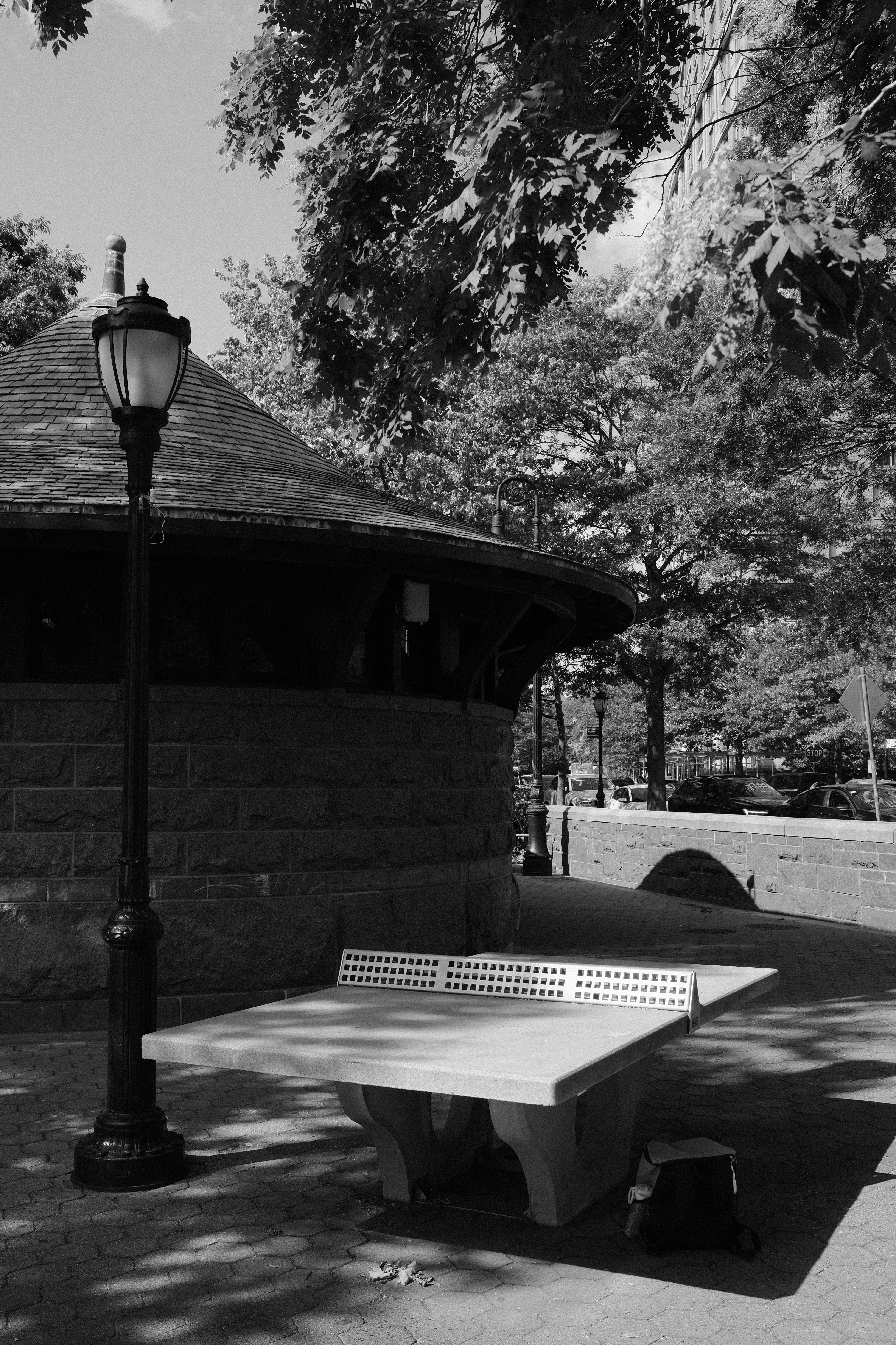Shaded Oak Garden: A Quiet Moment by the Park Table