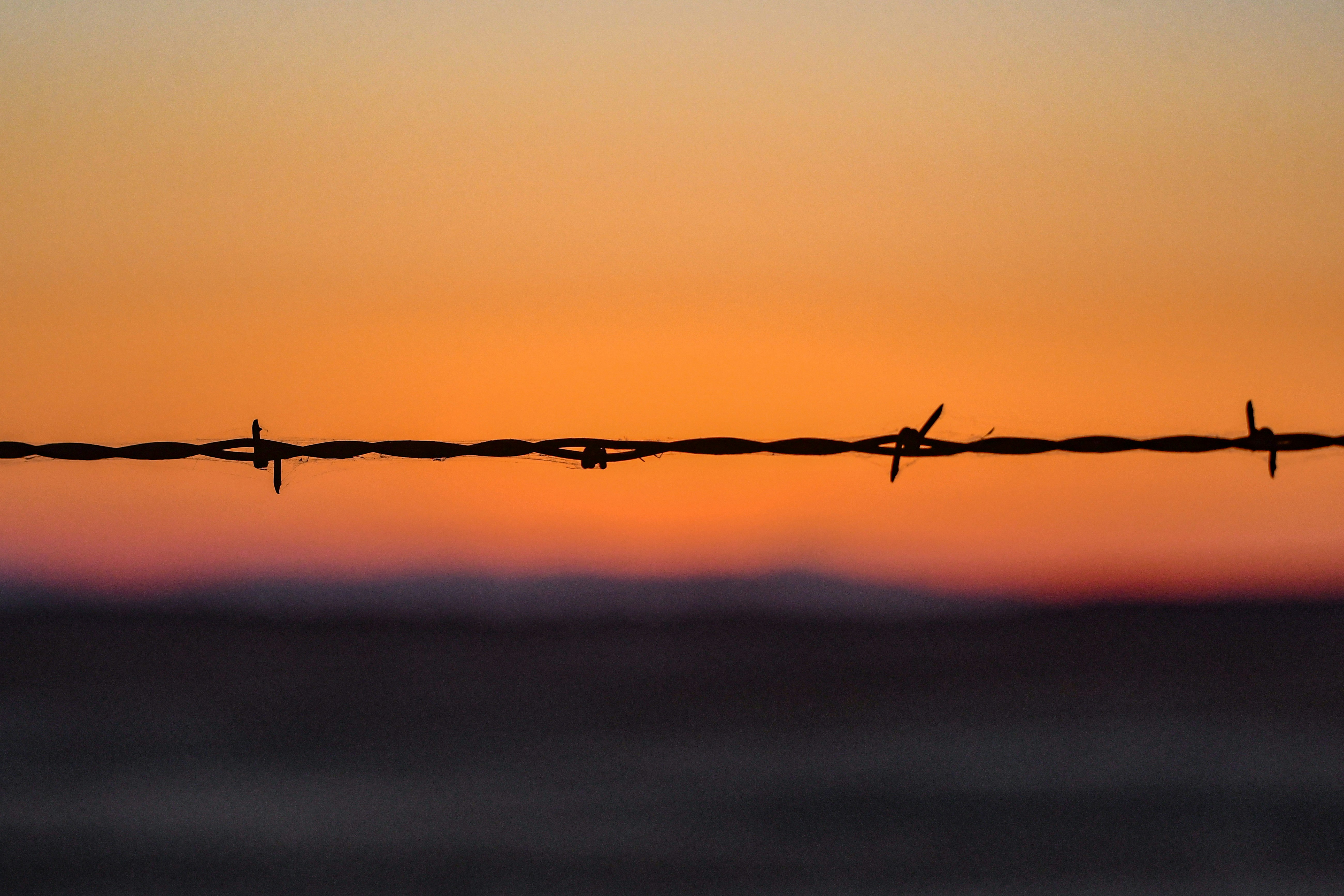 Barbed Horizon at Dusk: A Quiet Moment on the Wire