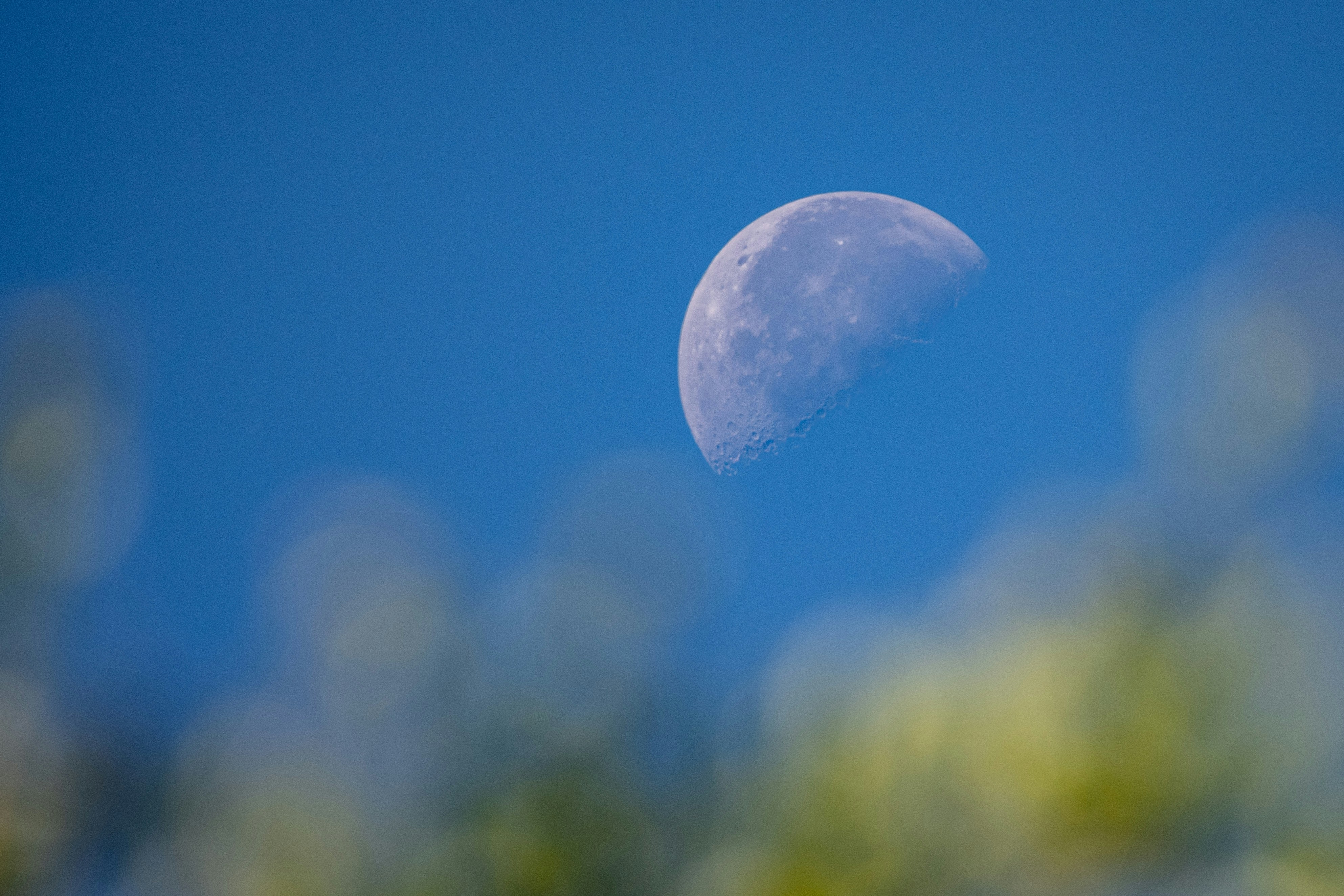 Moonlit Blur: A Quiet Crescent in Clear Daylight