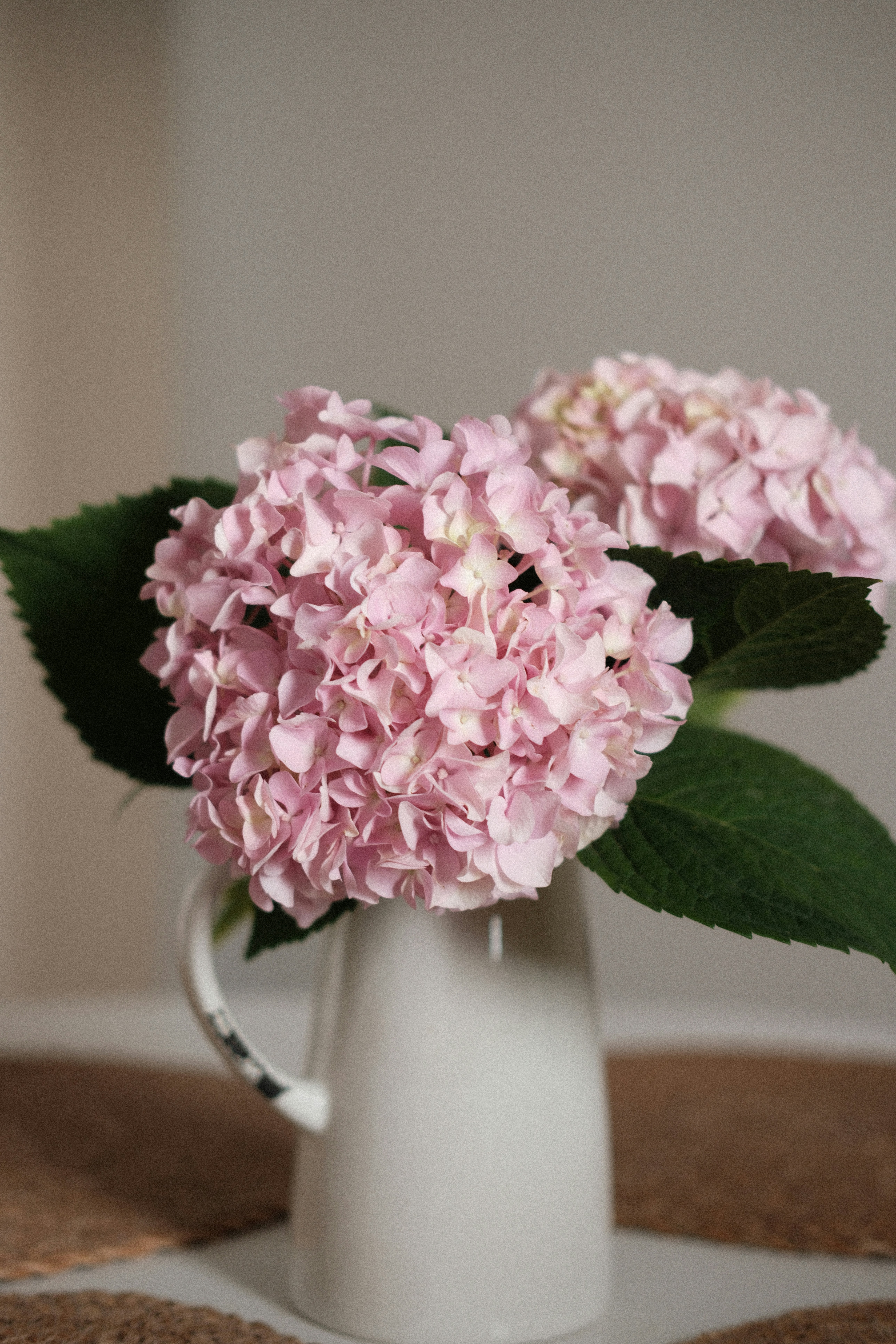 Pink Hydrangea Bouquet in a White Jug