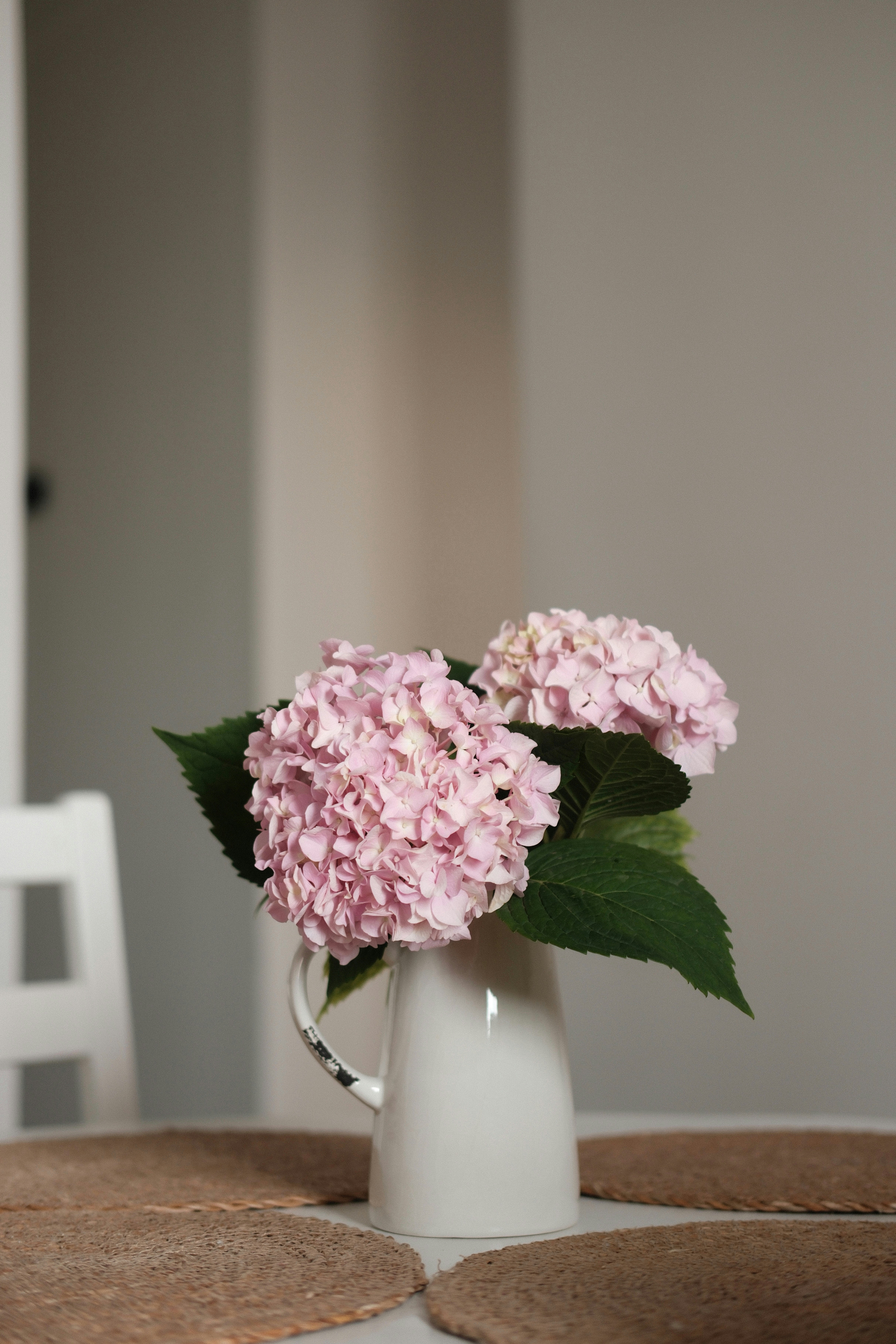 Hydrangea Still Life in Soft Ambient Light