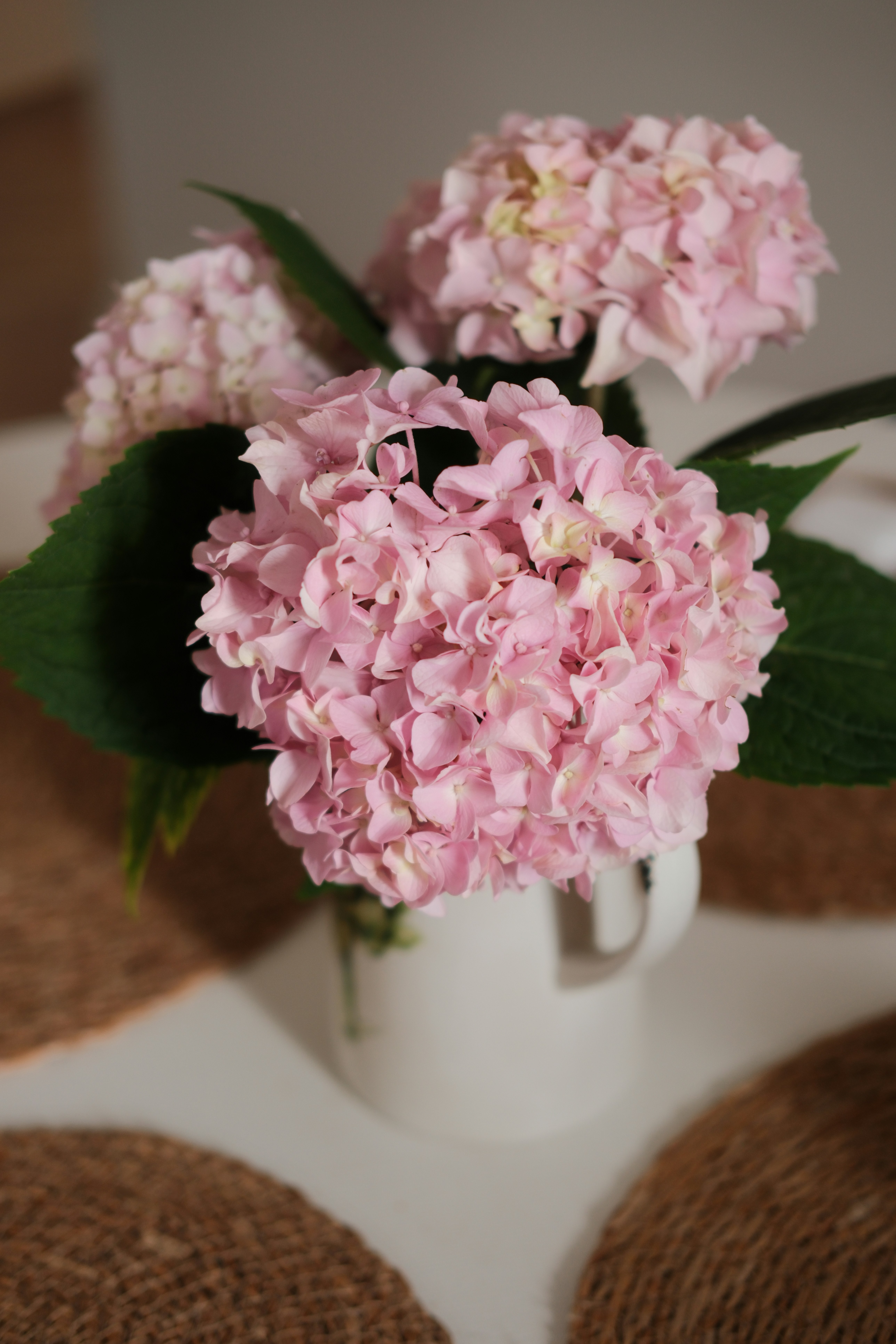 Soft Pink Hydrangea Bouquet in a White Pitcher