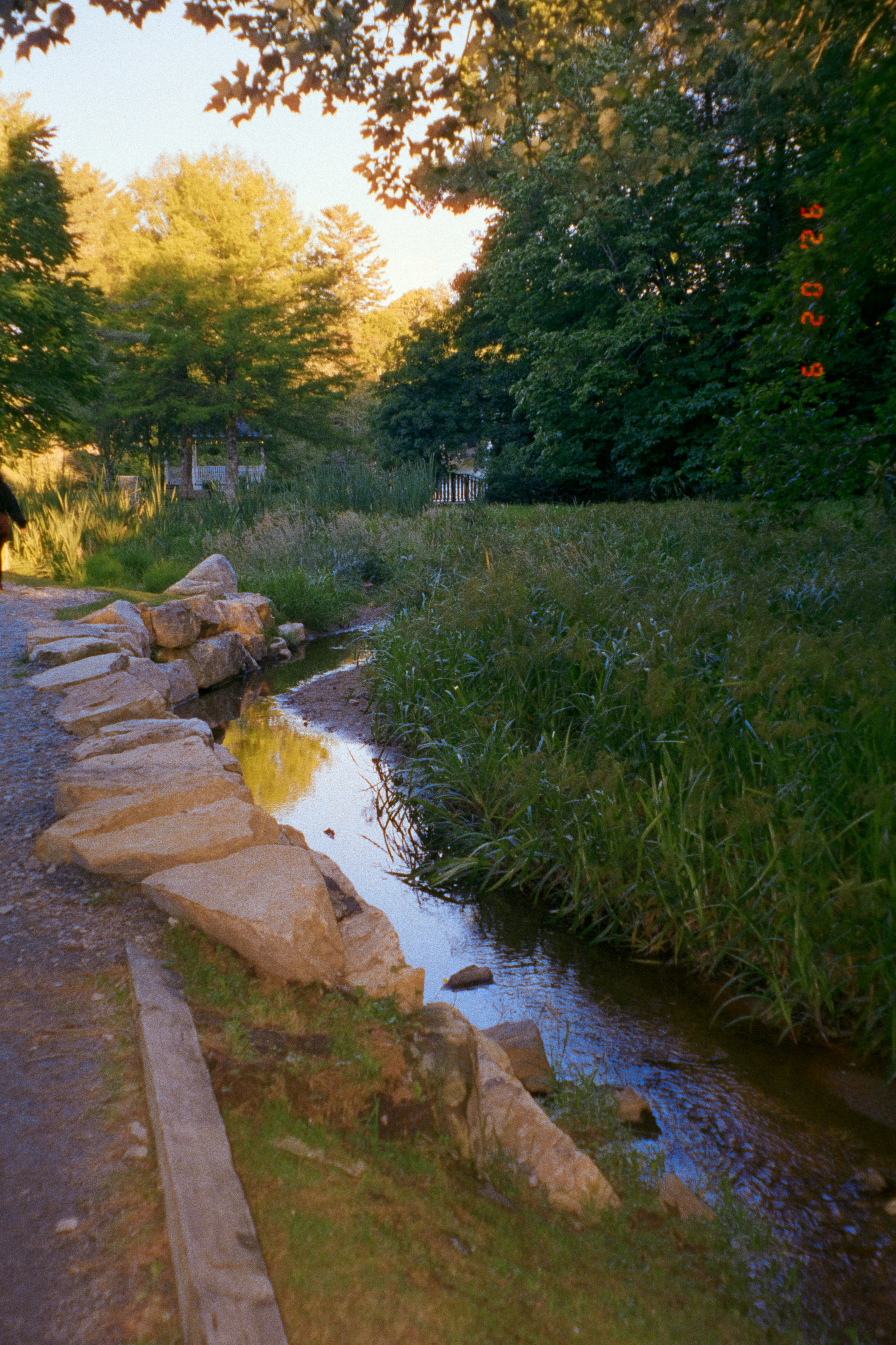 Golden-hour Streamside: Tranquil Channel Through Verdant Banks