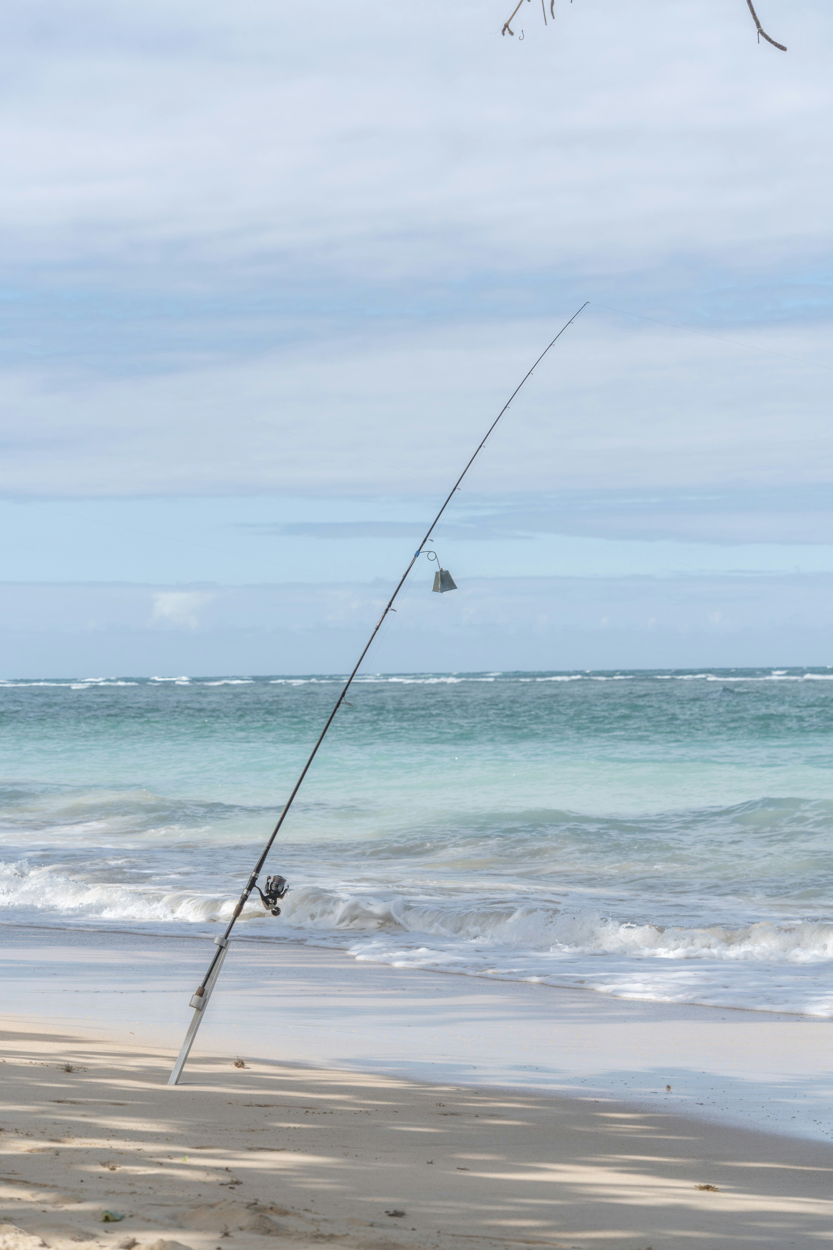 Line in the Tide: A Fishing Rod Reaches for the Distant Horizon